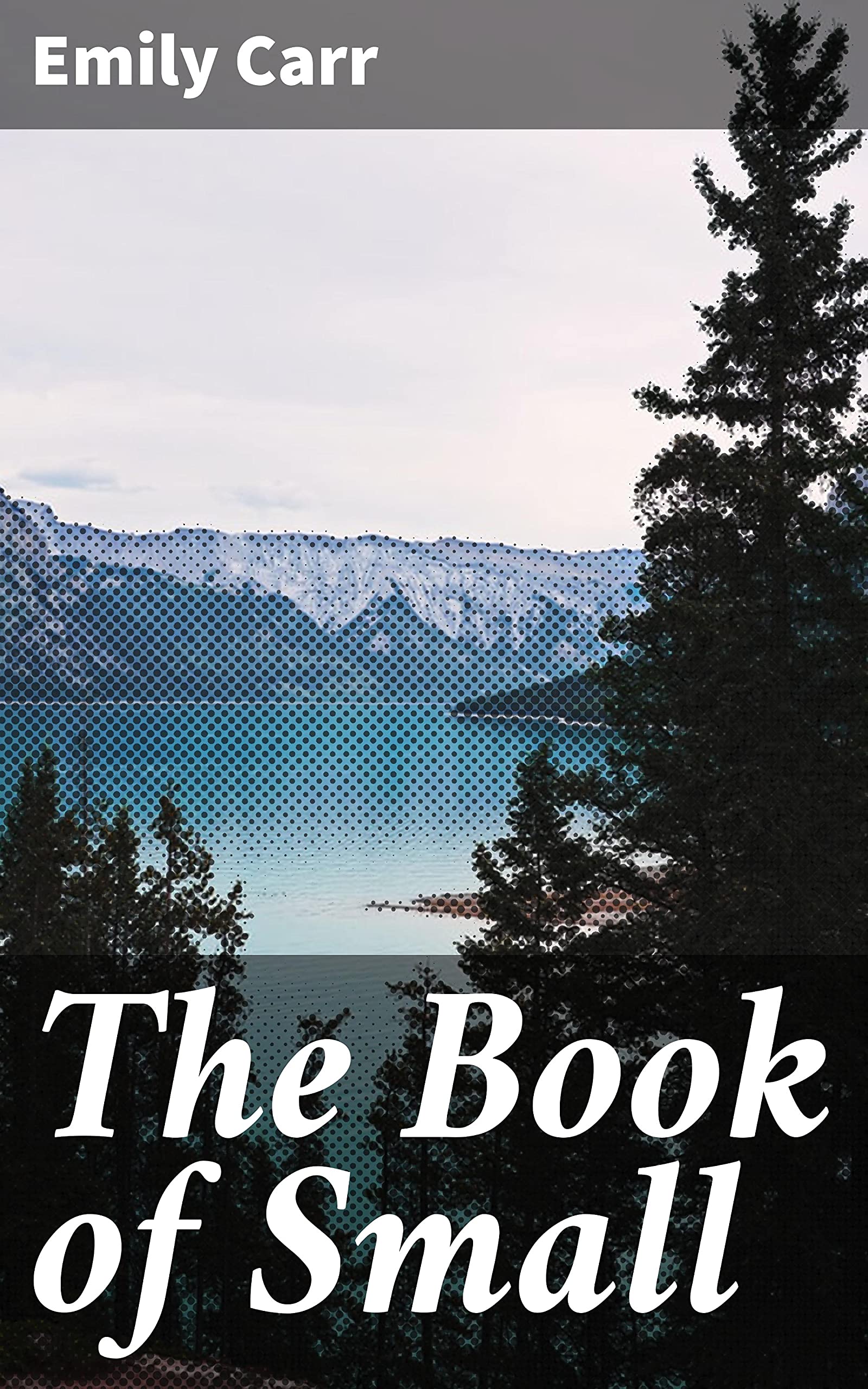 The Book of Small: A poetic journey through Canadian landscapes and ...