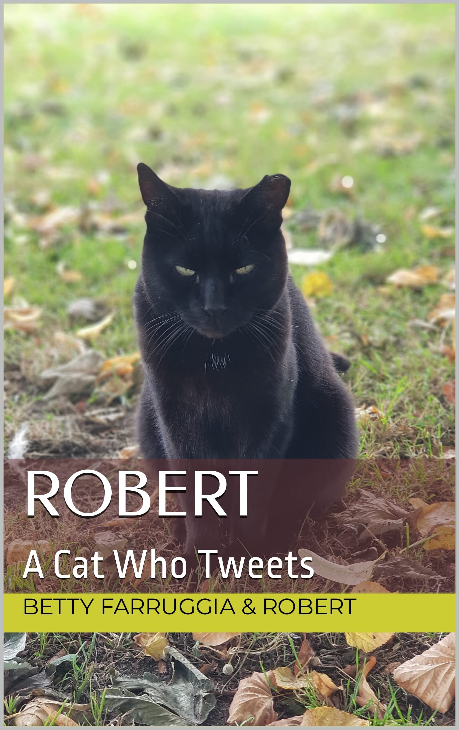 Robert: A Cat Who Tweets by Betty Farruggia | Goodreads