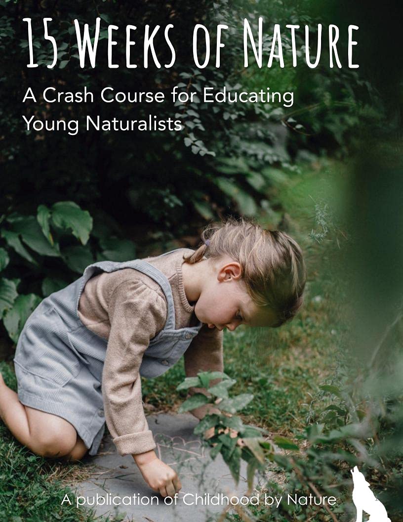 15 Weeks of Nature: A Crash Course for Educating Young Naturalists by ...
