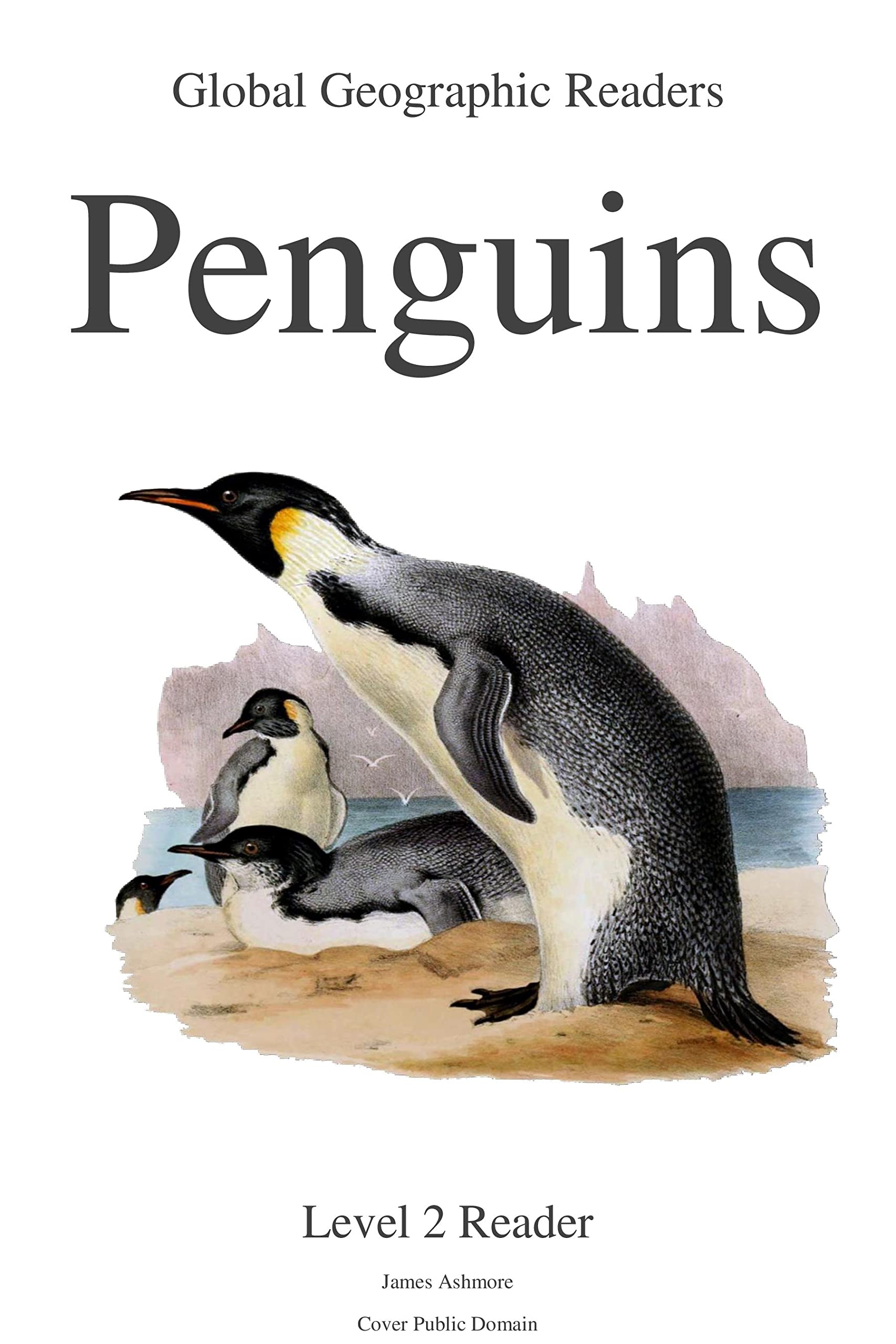 Global Geographic Readers Penguins: Kindergarten reading books, Grade 1 ...
