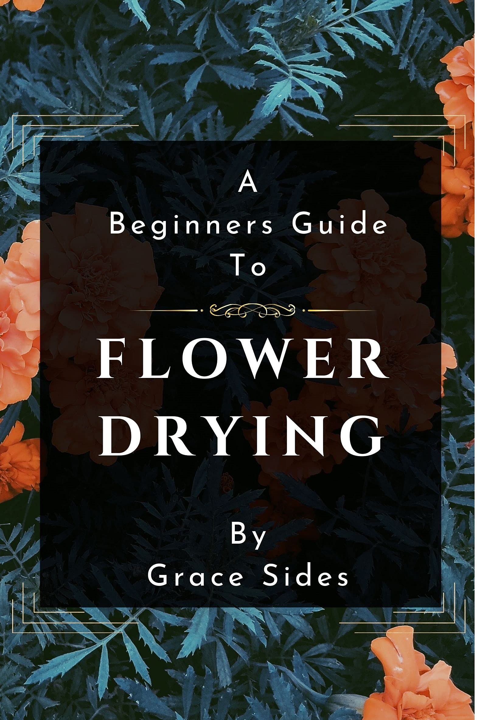 A Beginners Guide to Flower Drying : The Definitive Guide to Selecting ...