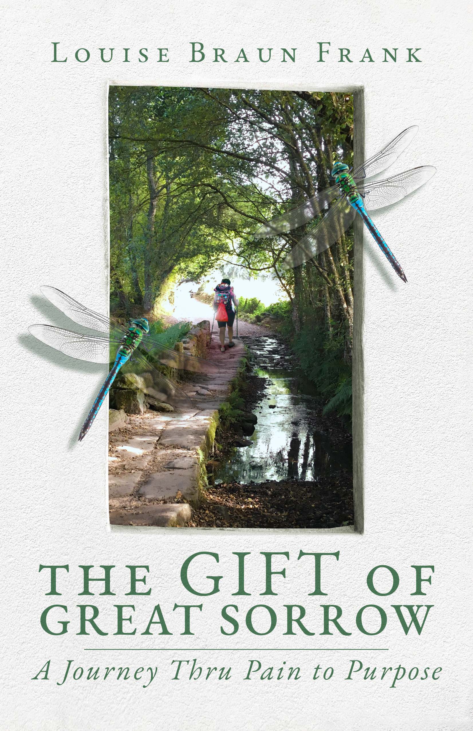 The Gift of Great Sorrow by Louise Braun Frank | Goodreads