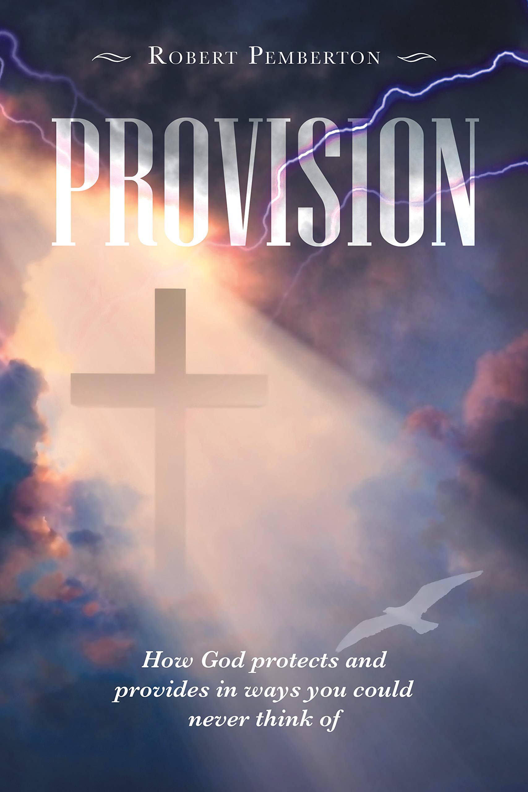 Provision: How God Protects and Provides in Ways You Could Never Think ...