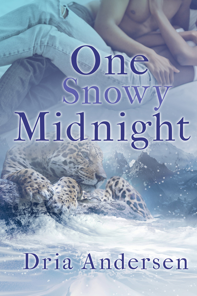 One Snowy Midnight by Dria Andersen | Goodreads