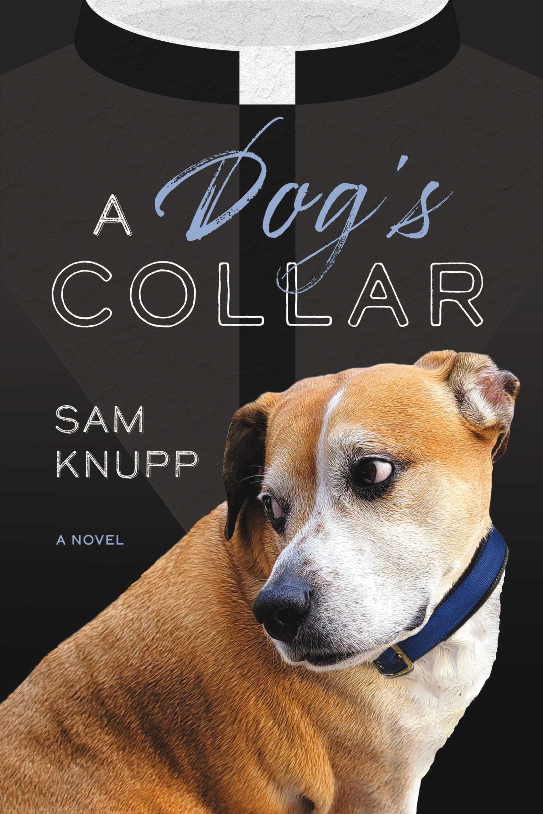 A Dog's Collar by Sam Knupp | Goodreads