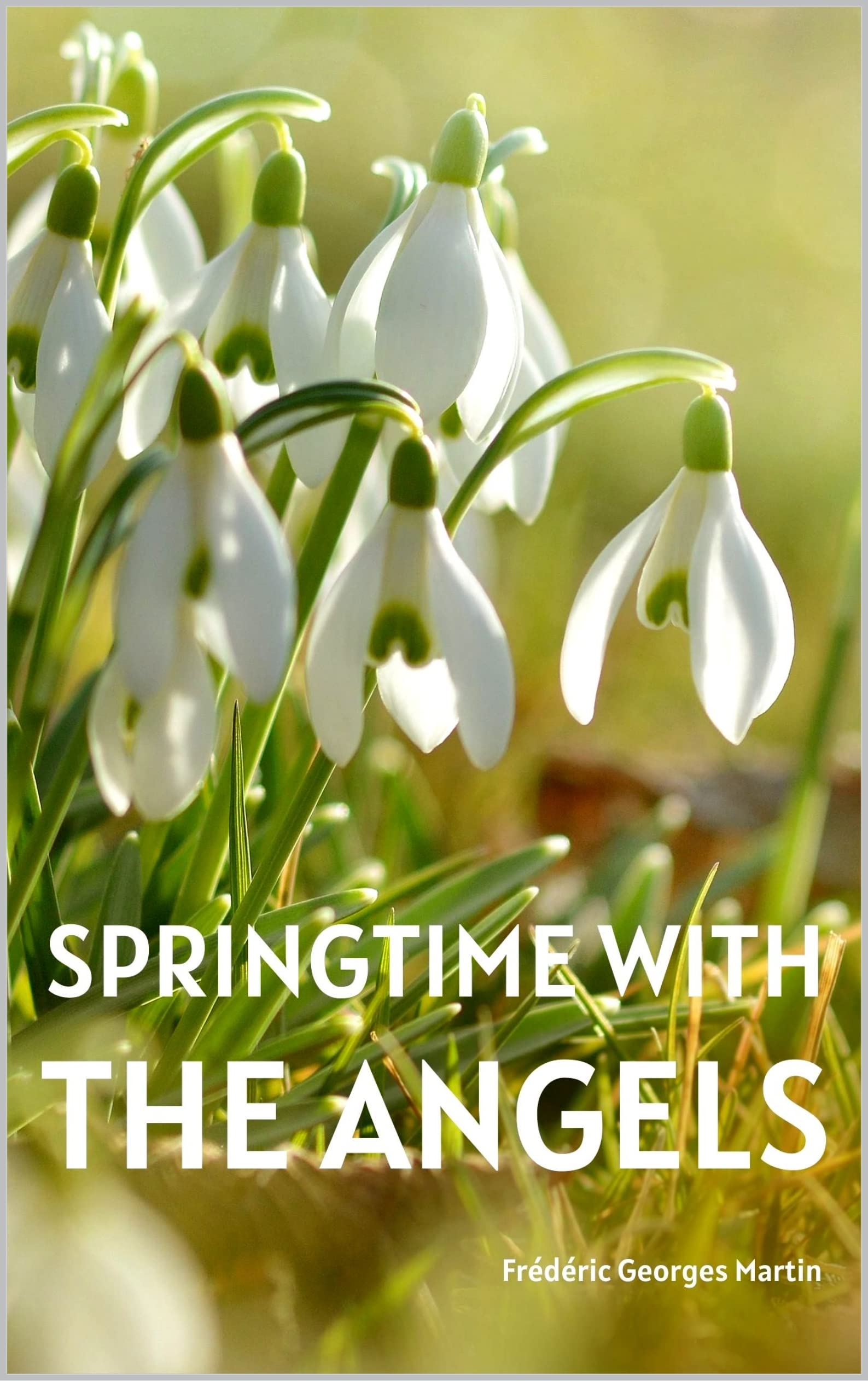 Springtime with the Angels by Frédéric Georges Martin | Goodreads