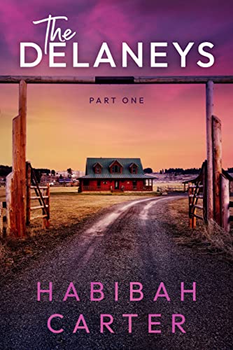 The Delaneys, Part One (Delaneys, #1) by Habibah Carter | Goodreads