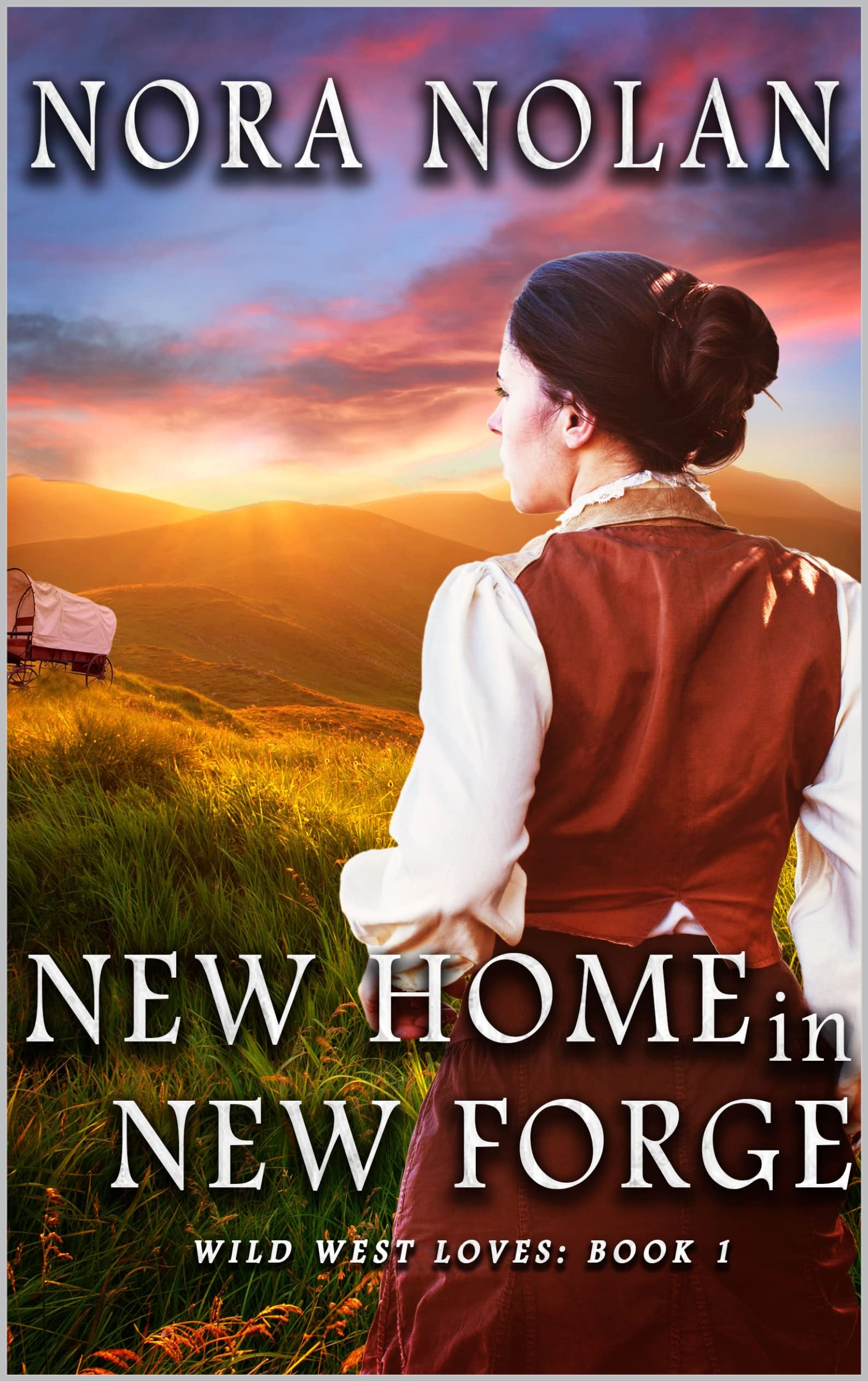 New Home in New Forge (Wild West Loves #1) by Nora Nolan | Goodreads