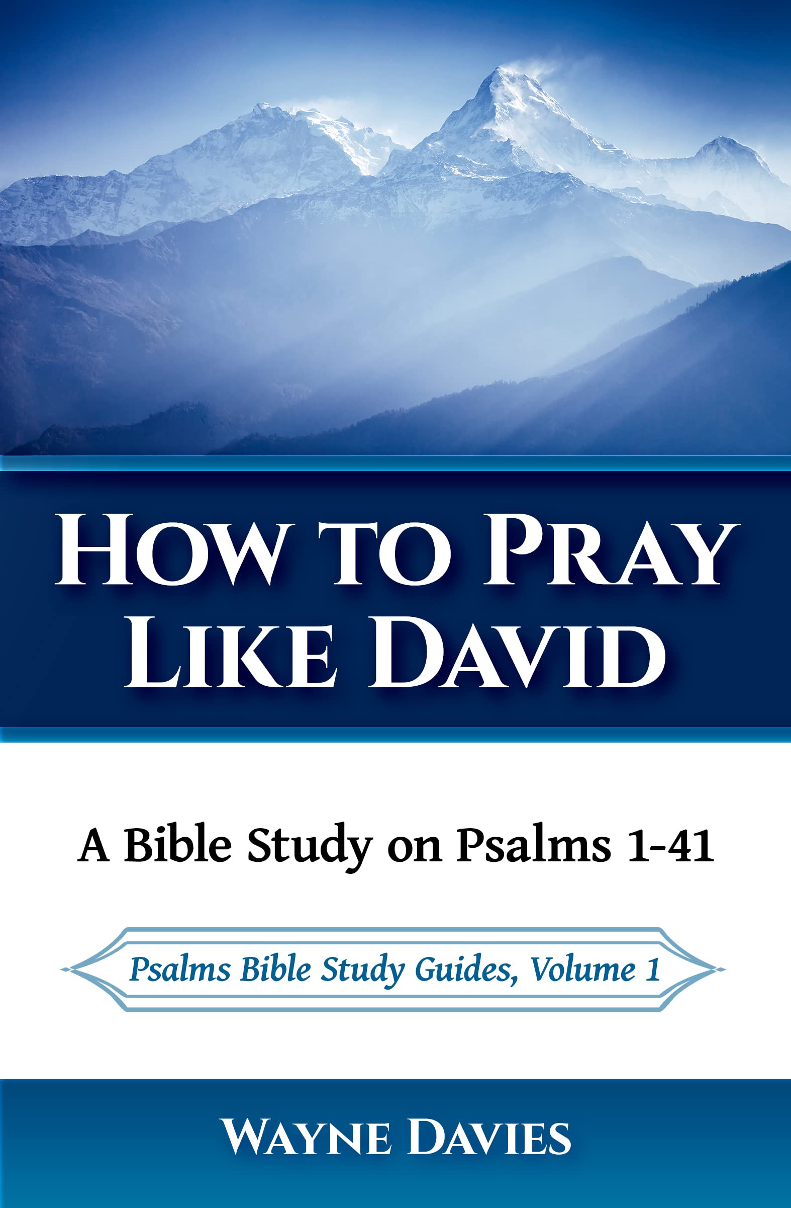 How to Pray Like David: A Bible Study on Psalms 1-41 by Wayne Davies ...