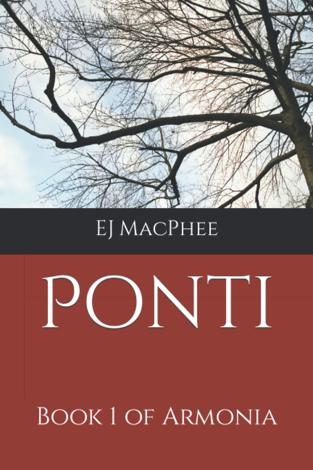 Ponti: Book 1 of Armonia by EJ MacPhee | Goodreads