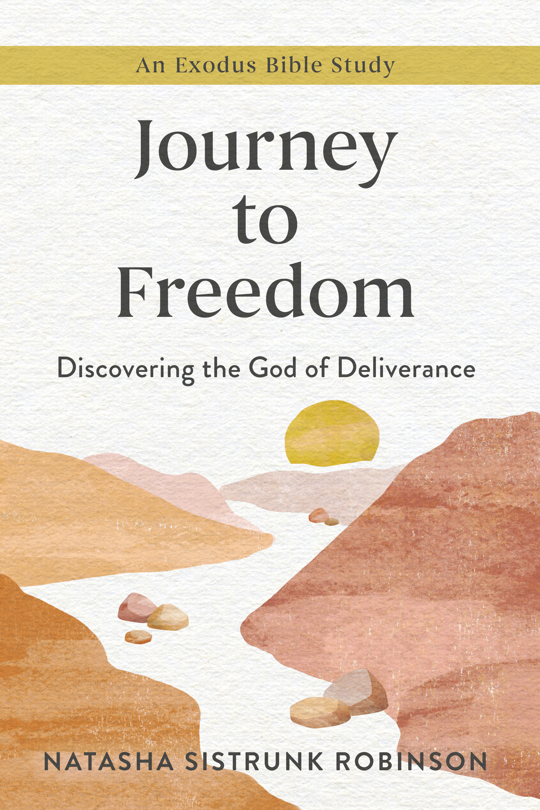 Journey to Freedom: Discovering the God of Deliverance, An Exodus Bible ...