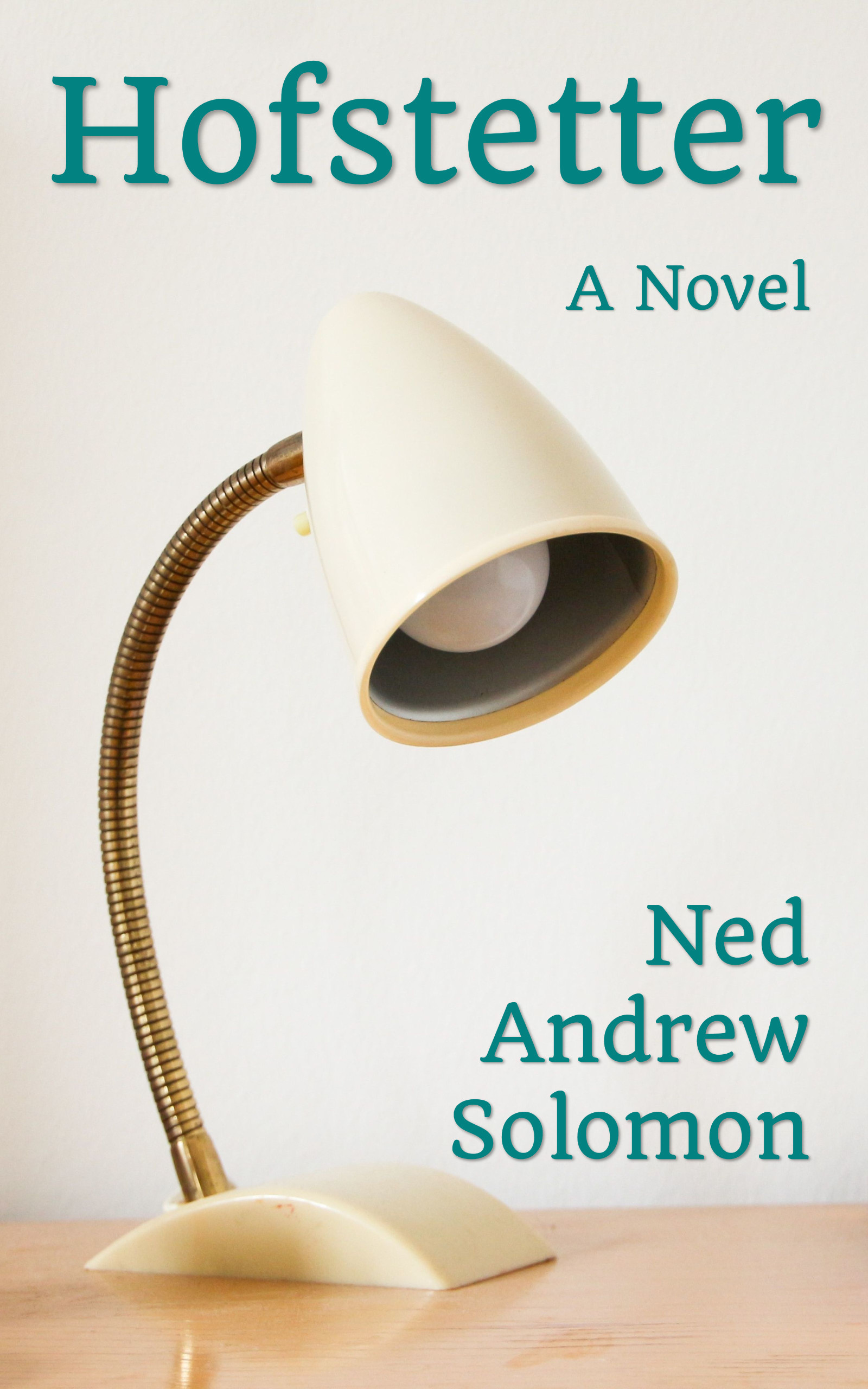 Hofstetter: A Novel by Ned Andrew Solomon | Goodreads