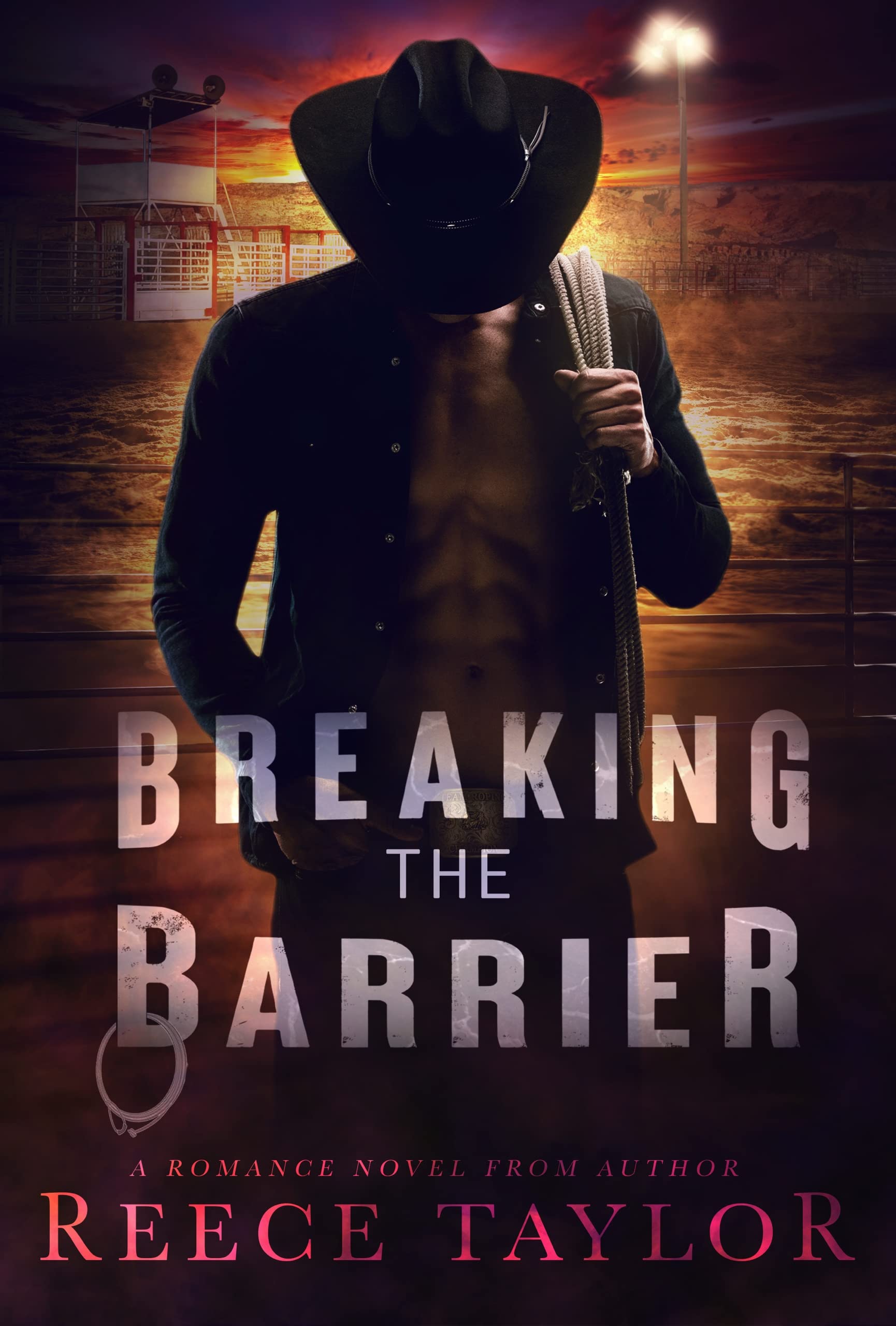 breaking the barrier by Reece Taylor | Goodreads