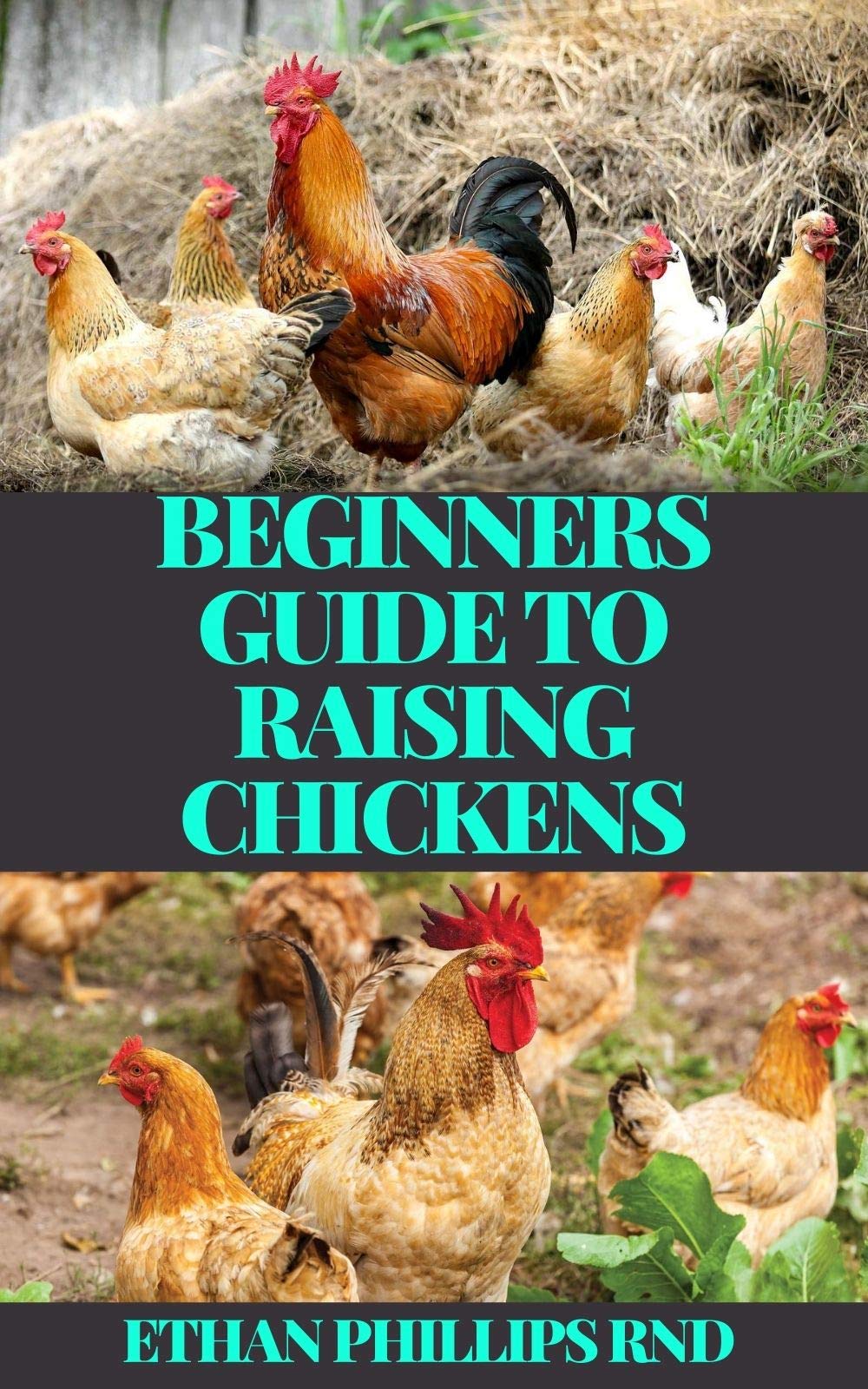 BEGINNERS GUIDE TO RAISING CHICKENS : An Ultimate Guide About Breed ...