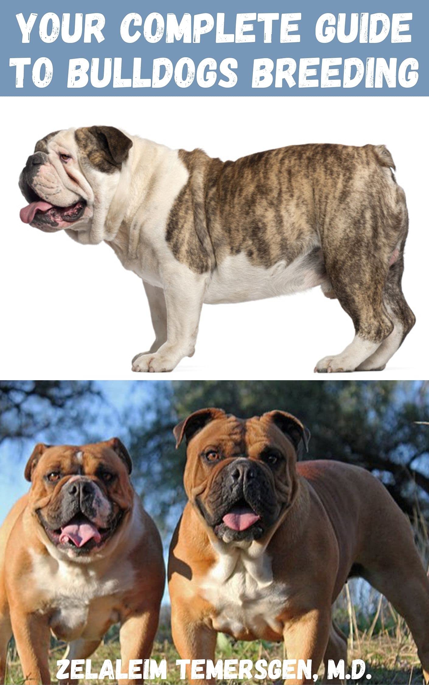YOUR COMPLETE GUIDE TO BULLDOGS BREEDING: The essential guide on how to ...