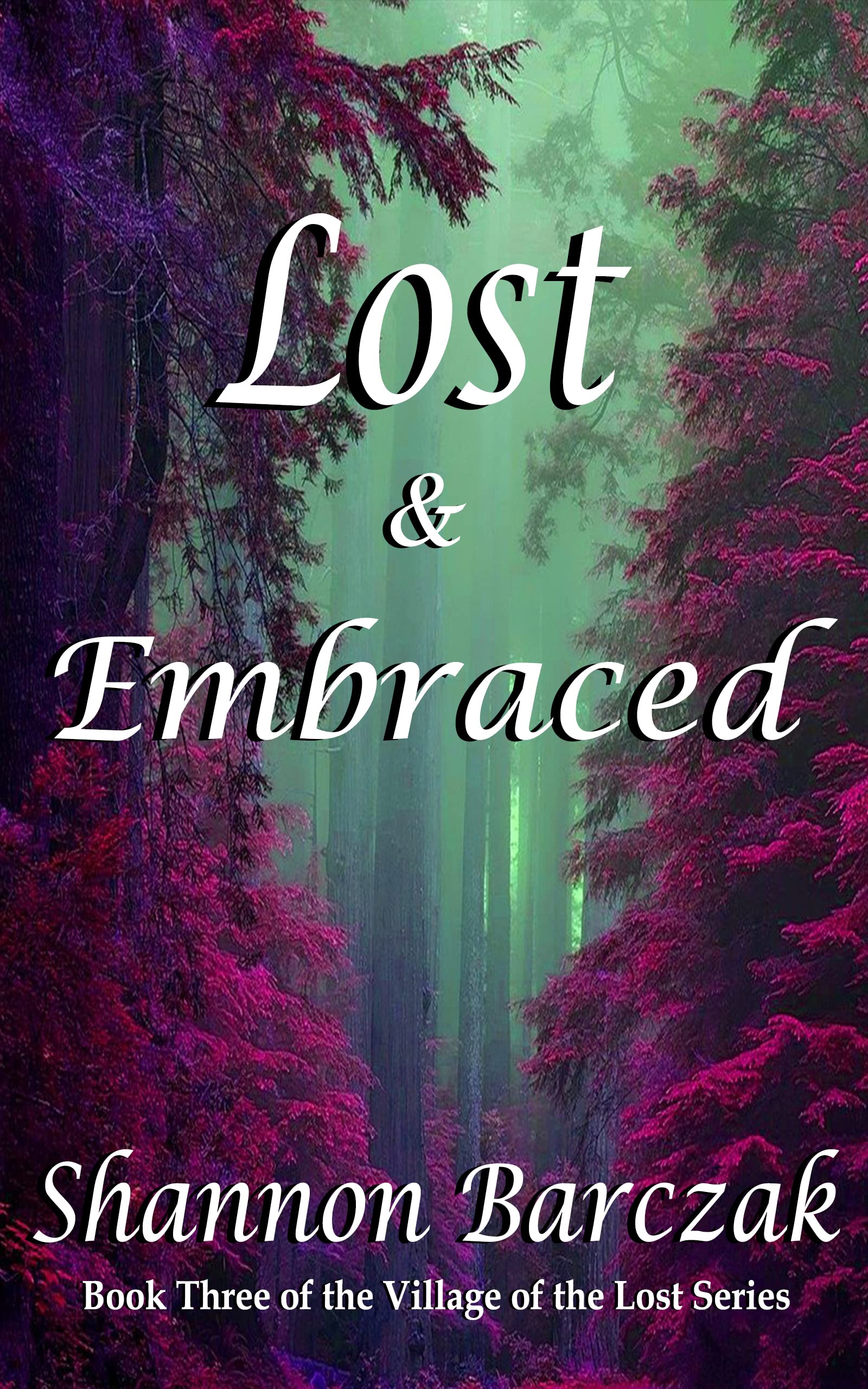 Lost & Embraced: The Village of the Lost Series Book Three by Shannon Barczak | Goodreads