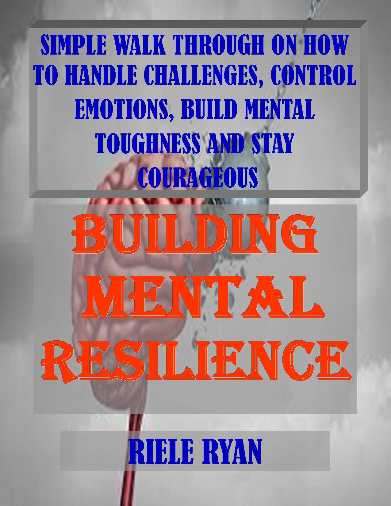 BUILDING MENTAL RESILIENCE: Sinple Walk Through On How To Handle ...