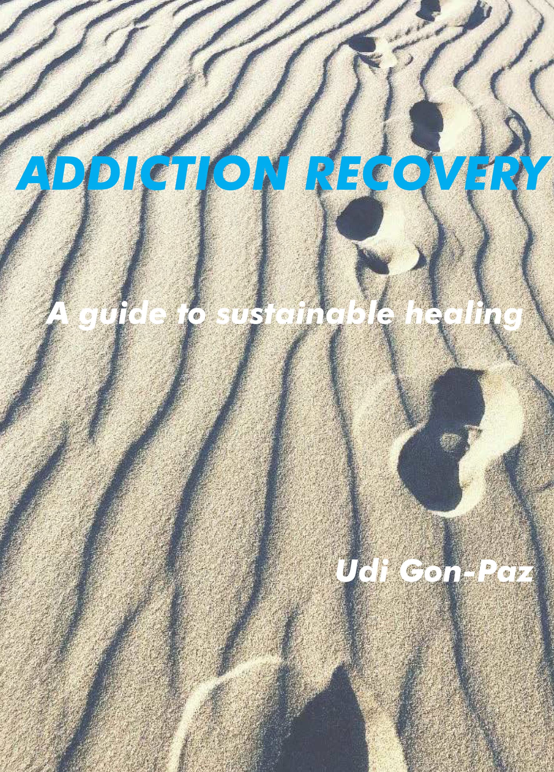 Addiction Recovery: A Guide to Sustainable Healing by Udi Gon-Paz ...