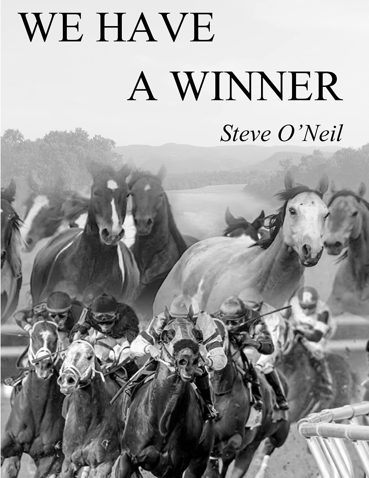 We Have A Winner (First Book 1) by Steve O'Neil | Goodreads