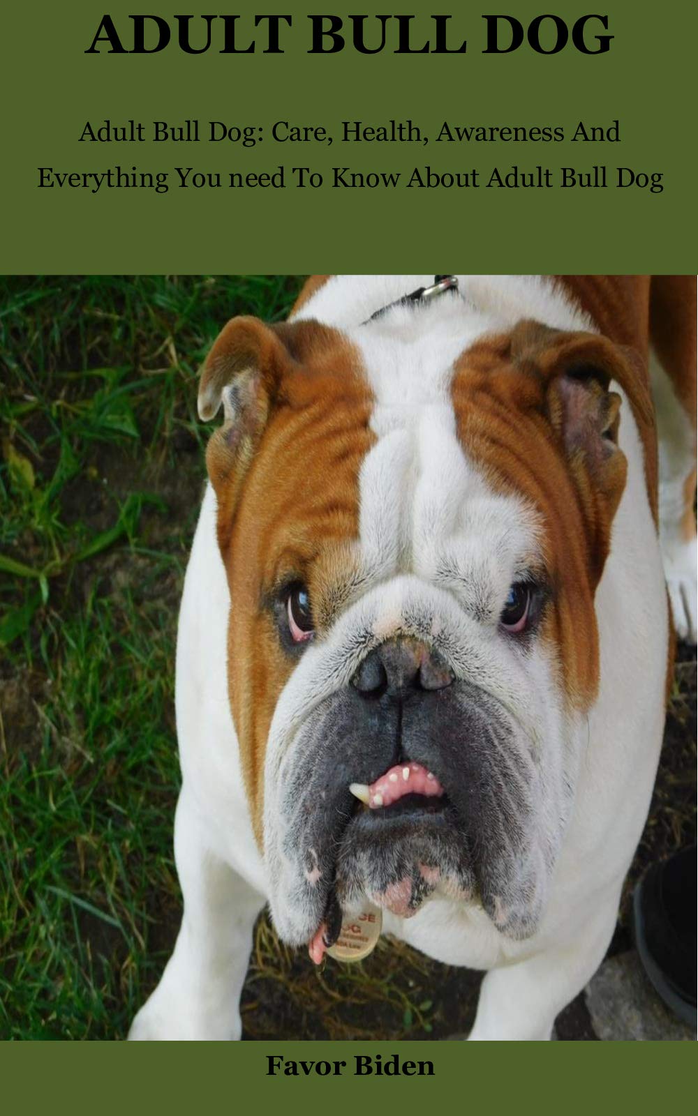 Adult Bull Dog: Adult Bull Dog: Care, Health, Awareness And Everything ...