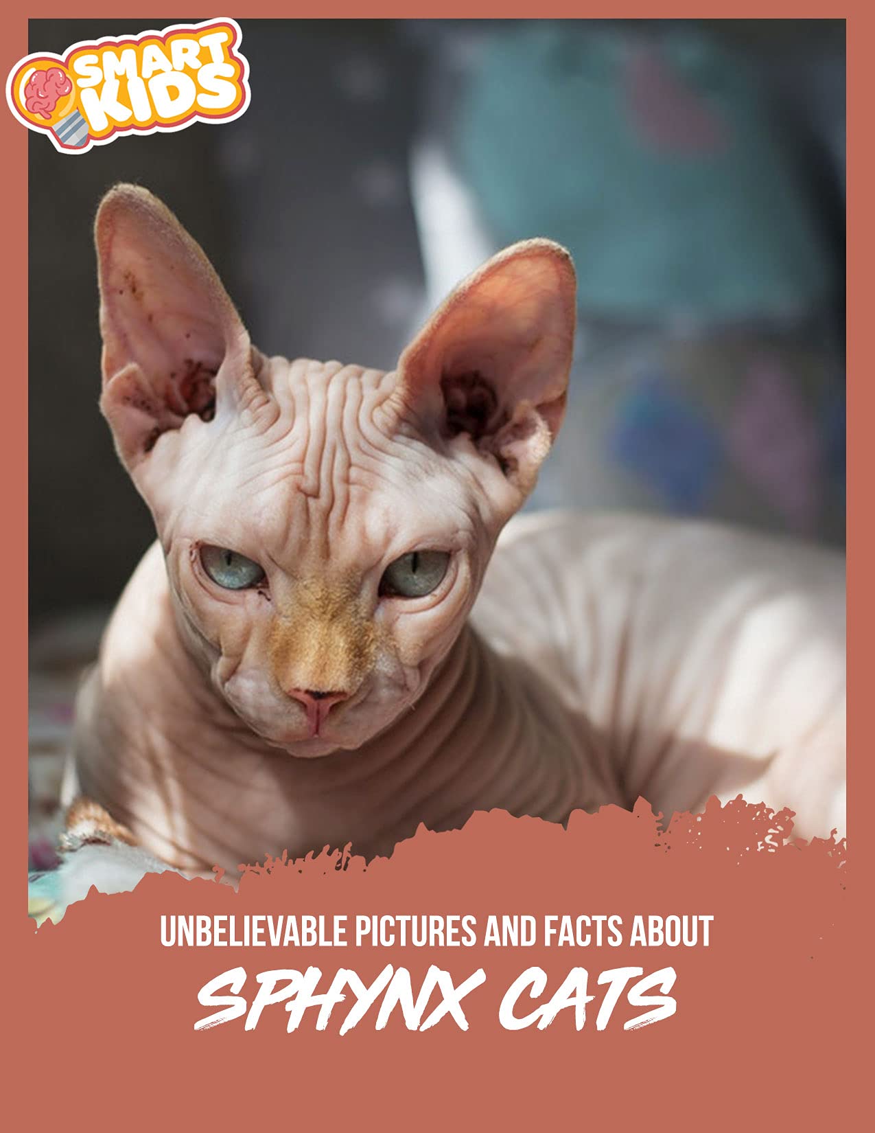 Unbelievable Pictures and Facts About Sphynx Cats by Olivia Greenwood ...