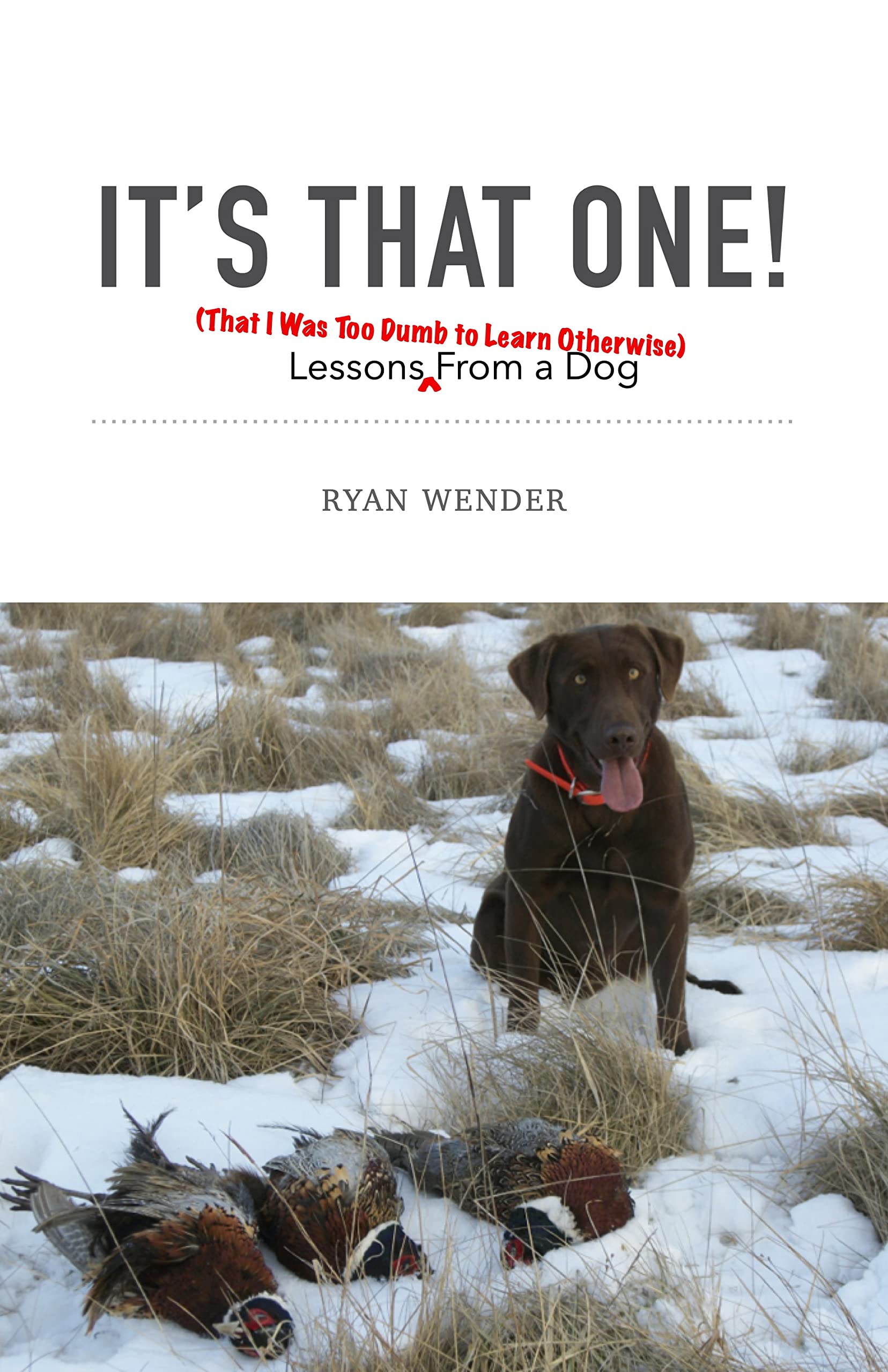It's That One!: Lessons (That I Was Too Dumb to Learn Otherwise) From a ...