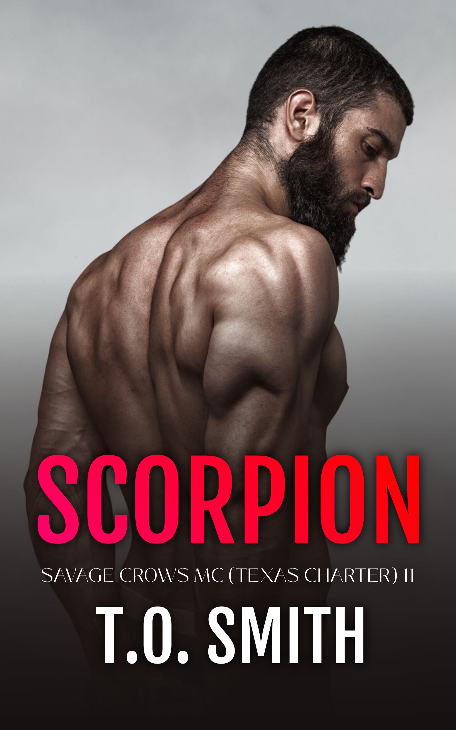 Scorpion (Savage Crows MC: Texas Charter #11) by T.O. Smith | Goodreads
