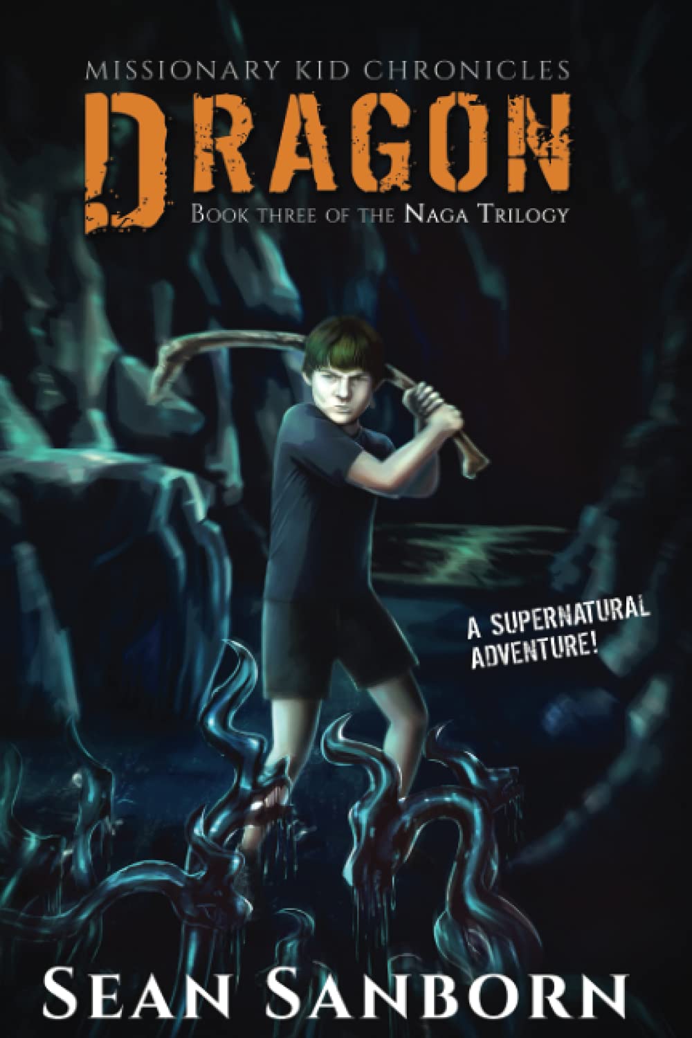 The Naga Trilogy: Dragon: A Supernatural Adventure by Sean Sanborn ...