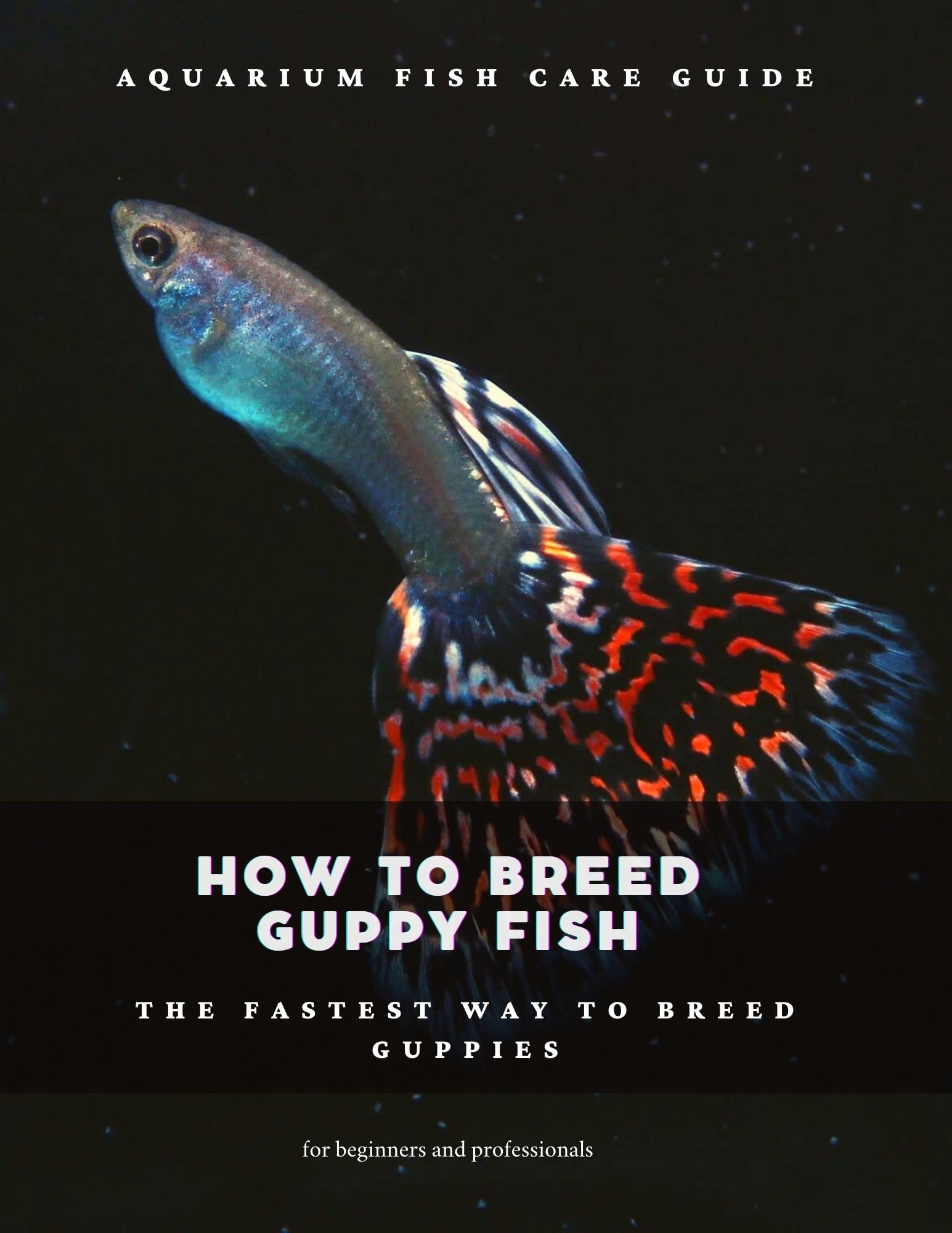 How to breed guppy fish: The fastest way to breed guppies by Max Zorin ...