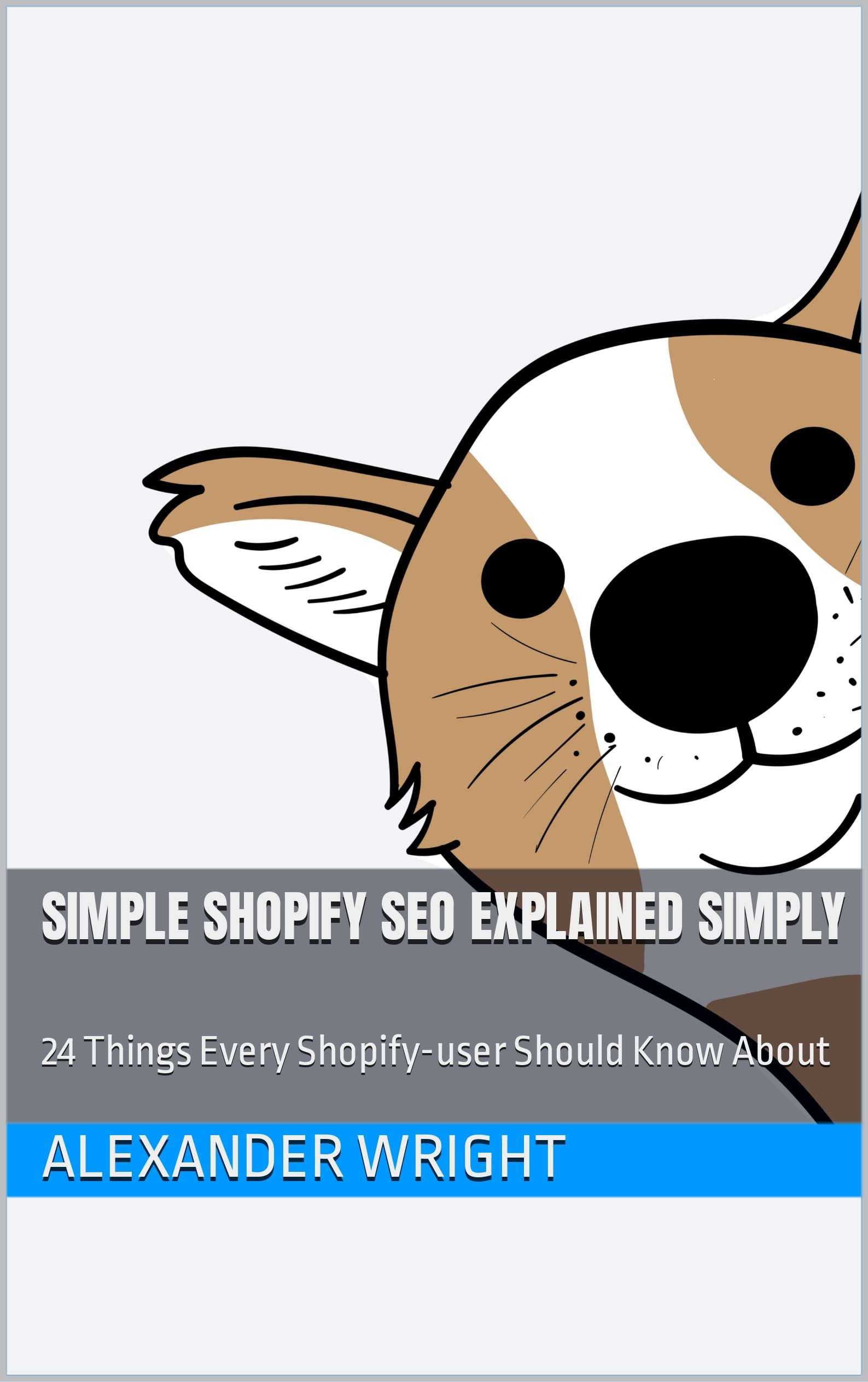 Simple Shopify SEO Explained Simply: 24 Things Every Shopify User Should Know About by Alexander ...