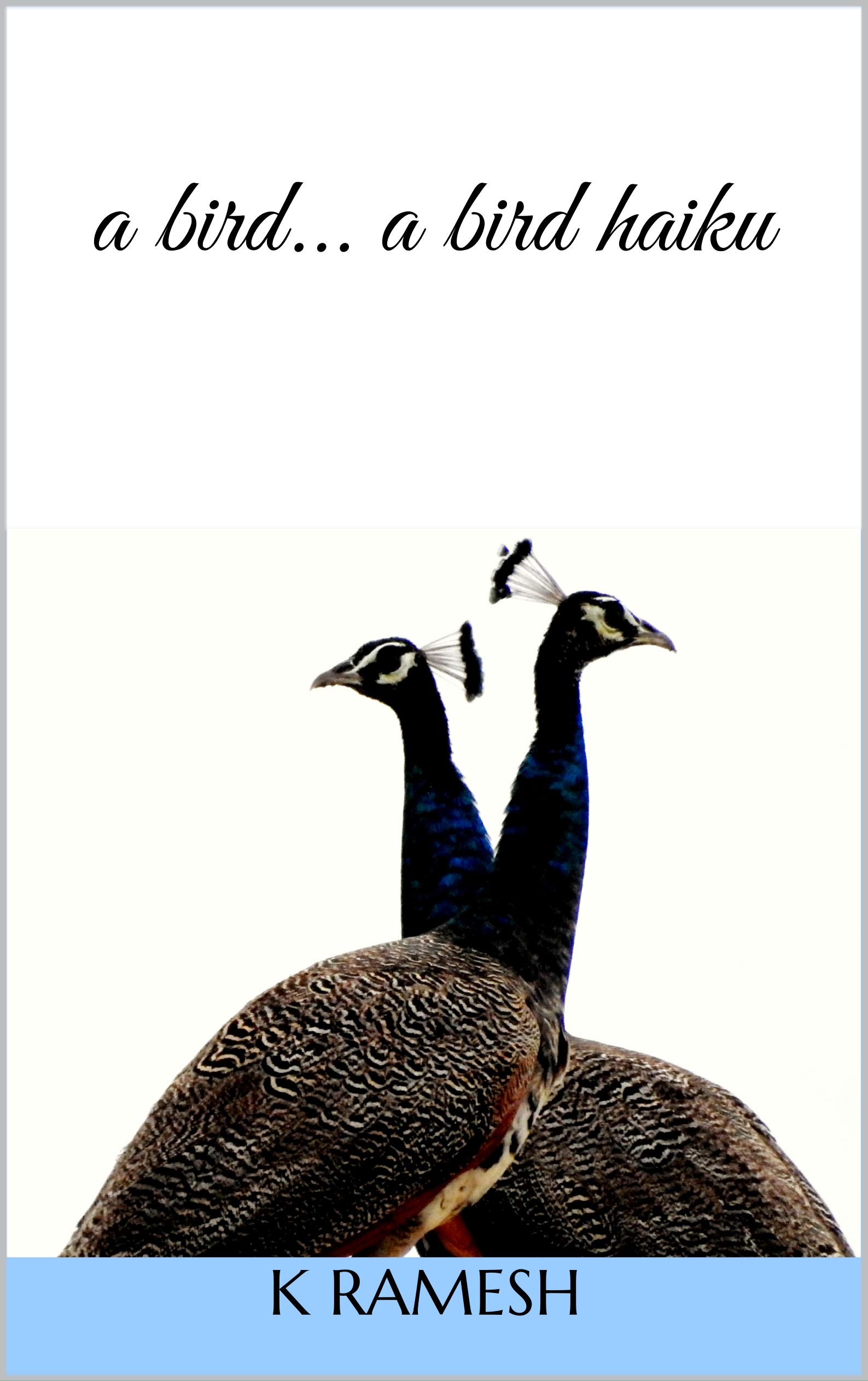 a bird... a bird haiku by K Ramesh | Goodreads