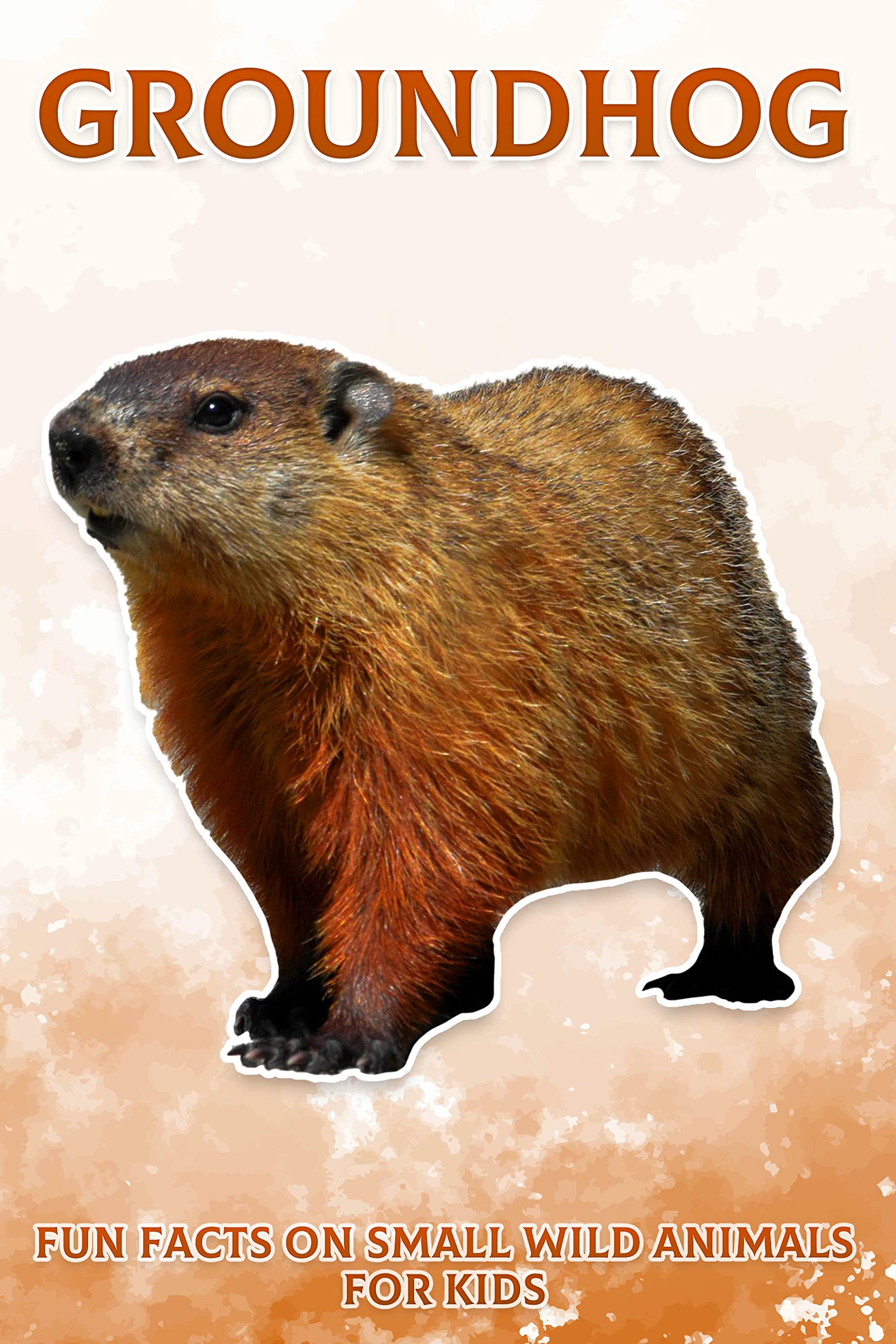 Groundhog: Fun Facts on Small Wild Animals for Kids #5 by Michelle ...