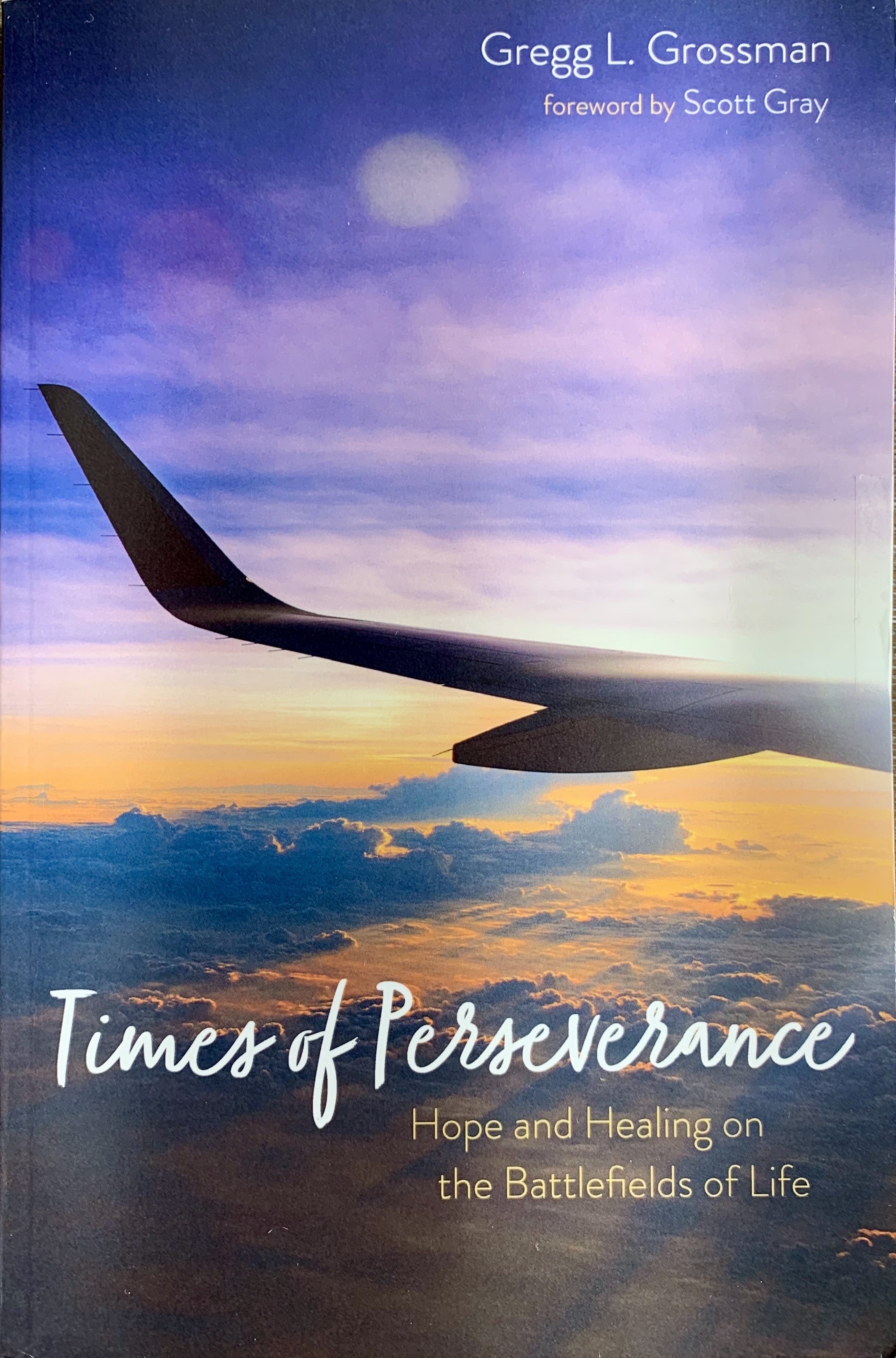 Times of Perseverance: Hope and Healing on the Battlefields of Life by ...