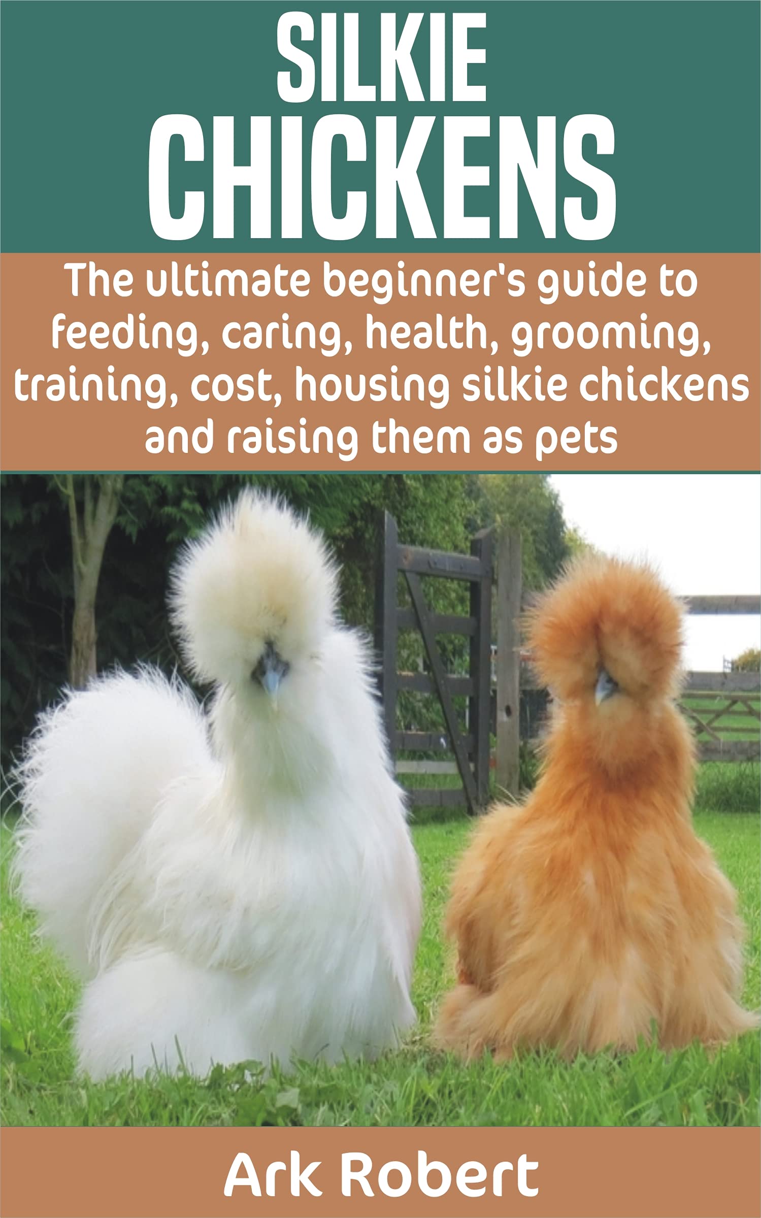 SILKIE CHICKENS: The ultimate beginner’s guide to feeding, caring ...