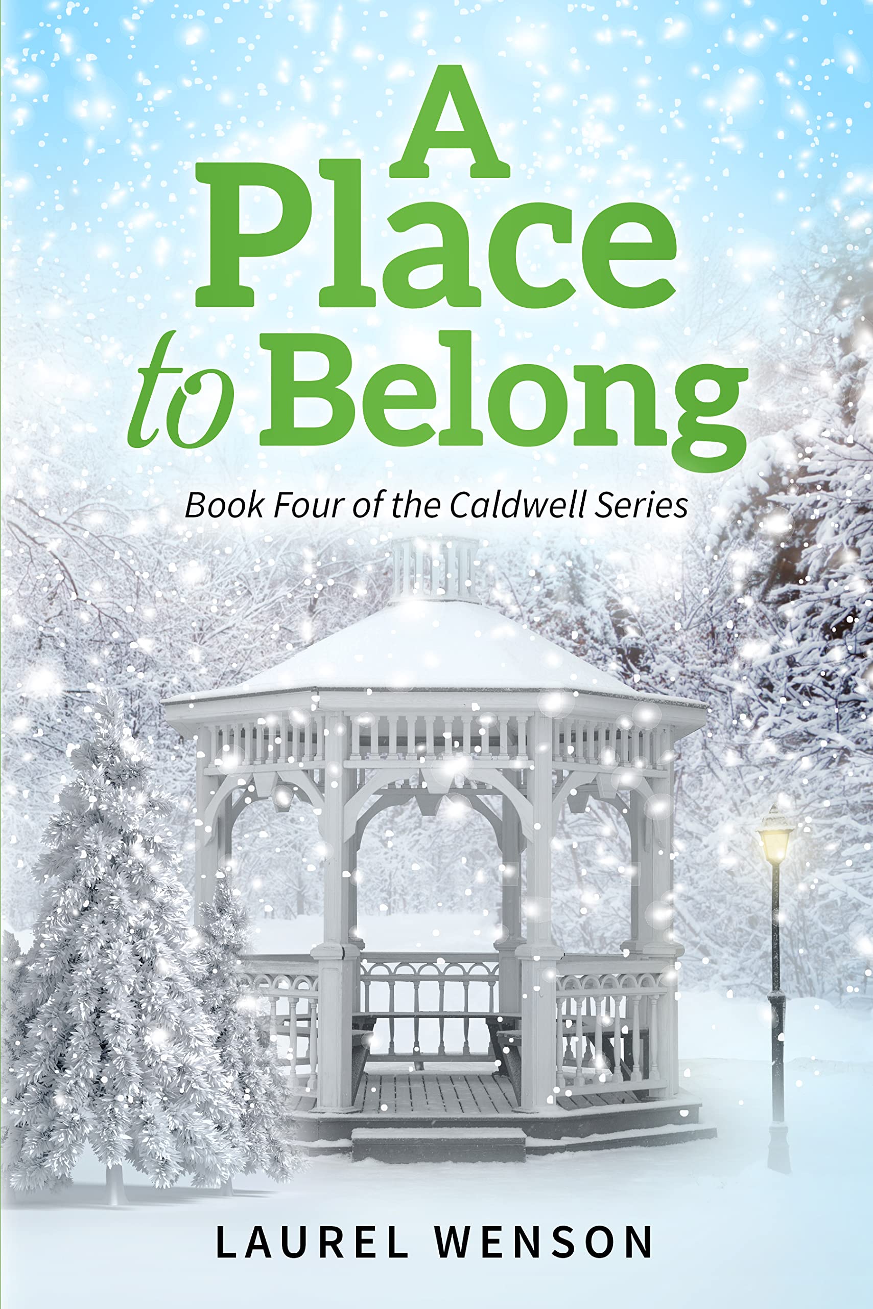 A Place to Belong (Caldwell Series, #4) by Laurel Wenson | Goodreads