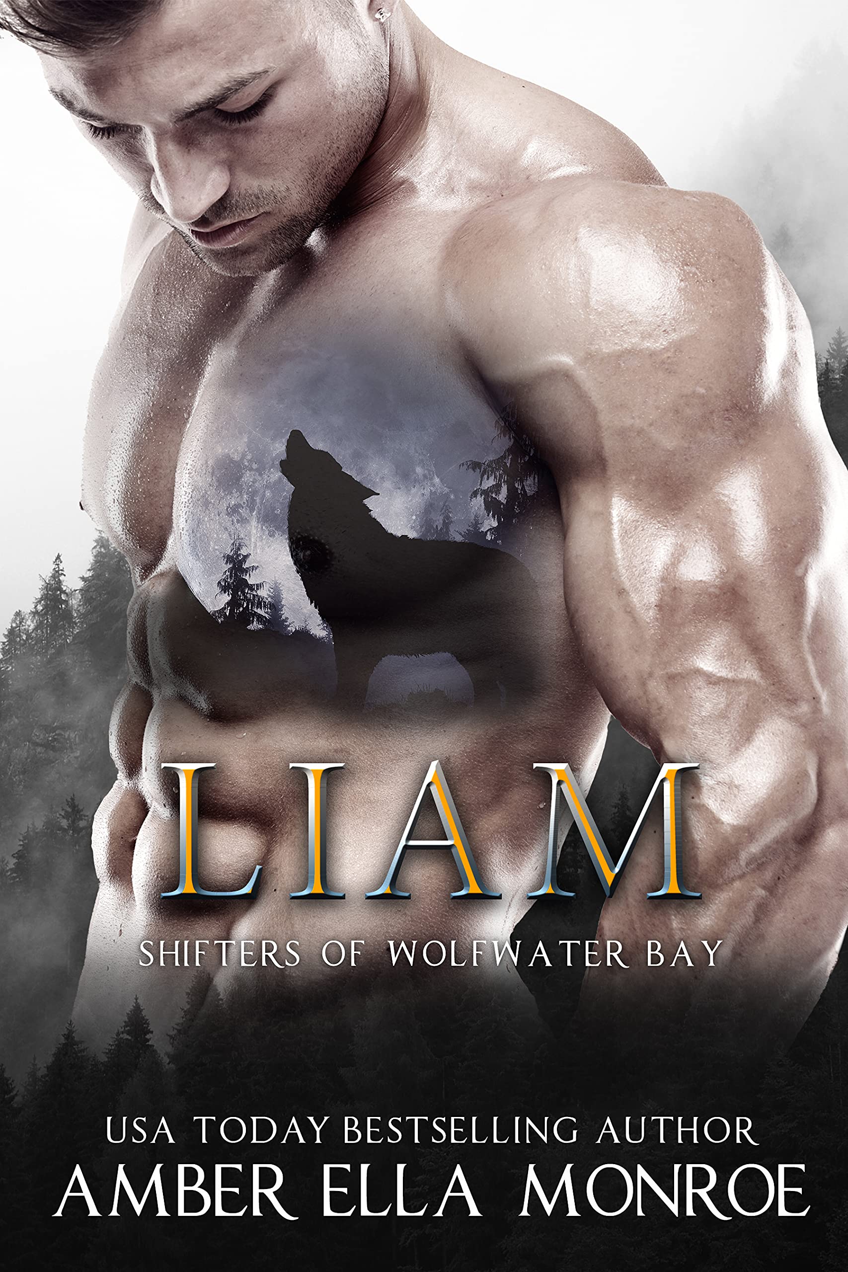 Liam: Shifters of Wolfwater Bay by Amber Ella Monroe | Goodreads
