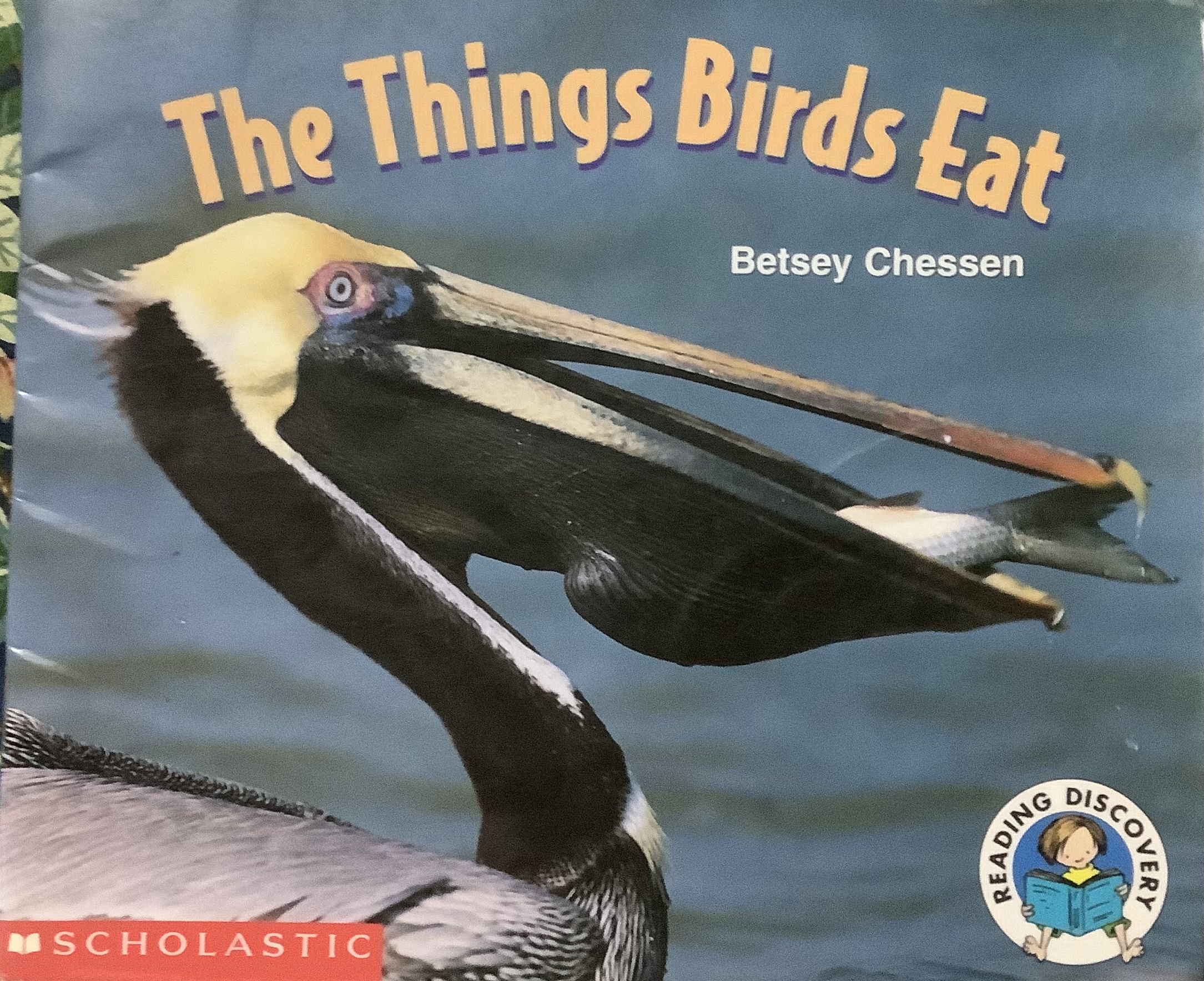 The Things Birds Eat by Betsey Chessen | Goodreads