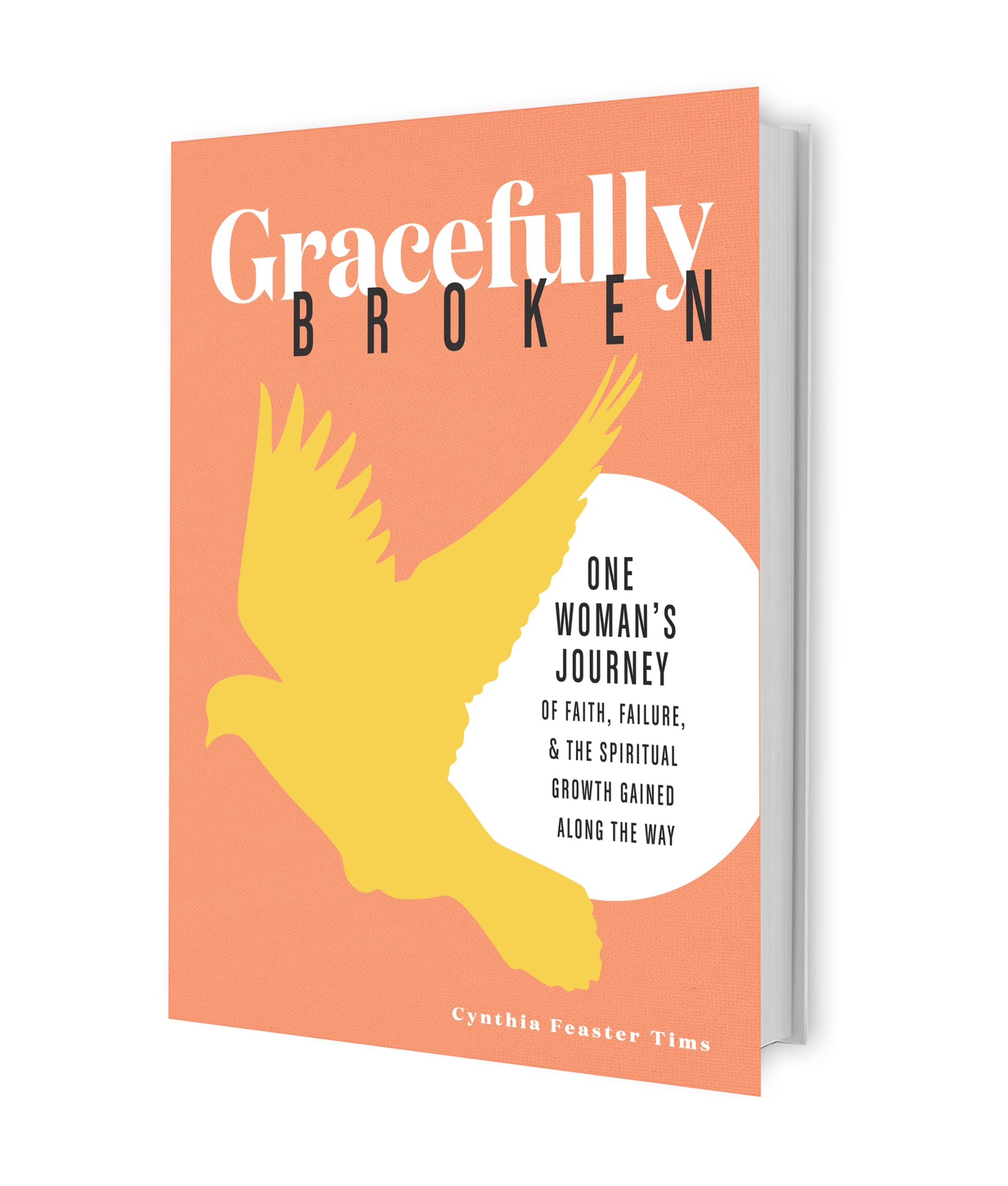 Gracefully Broken: One Woman's Journey of Faith, Favor & the Spiritual ...