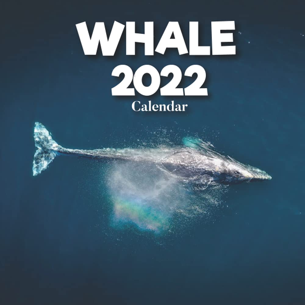 Whale Calendar 2022: A Monthly and Weekly Calendar 2022 - 12 months ...
