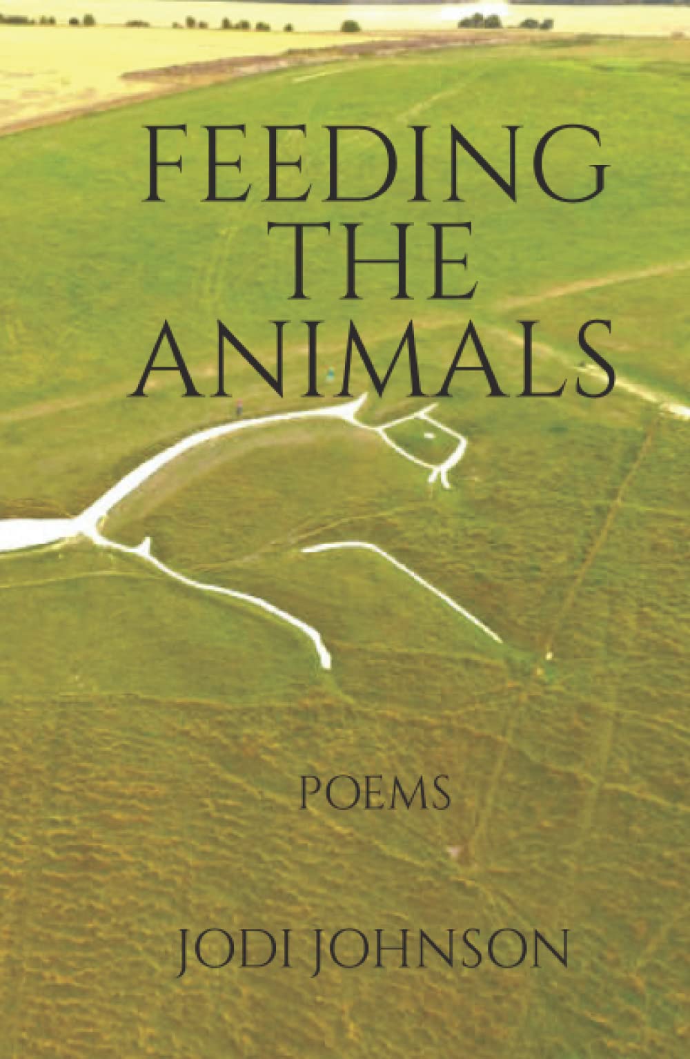Feeding The Animals: Poems by Jodi Johnson | Goodreads