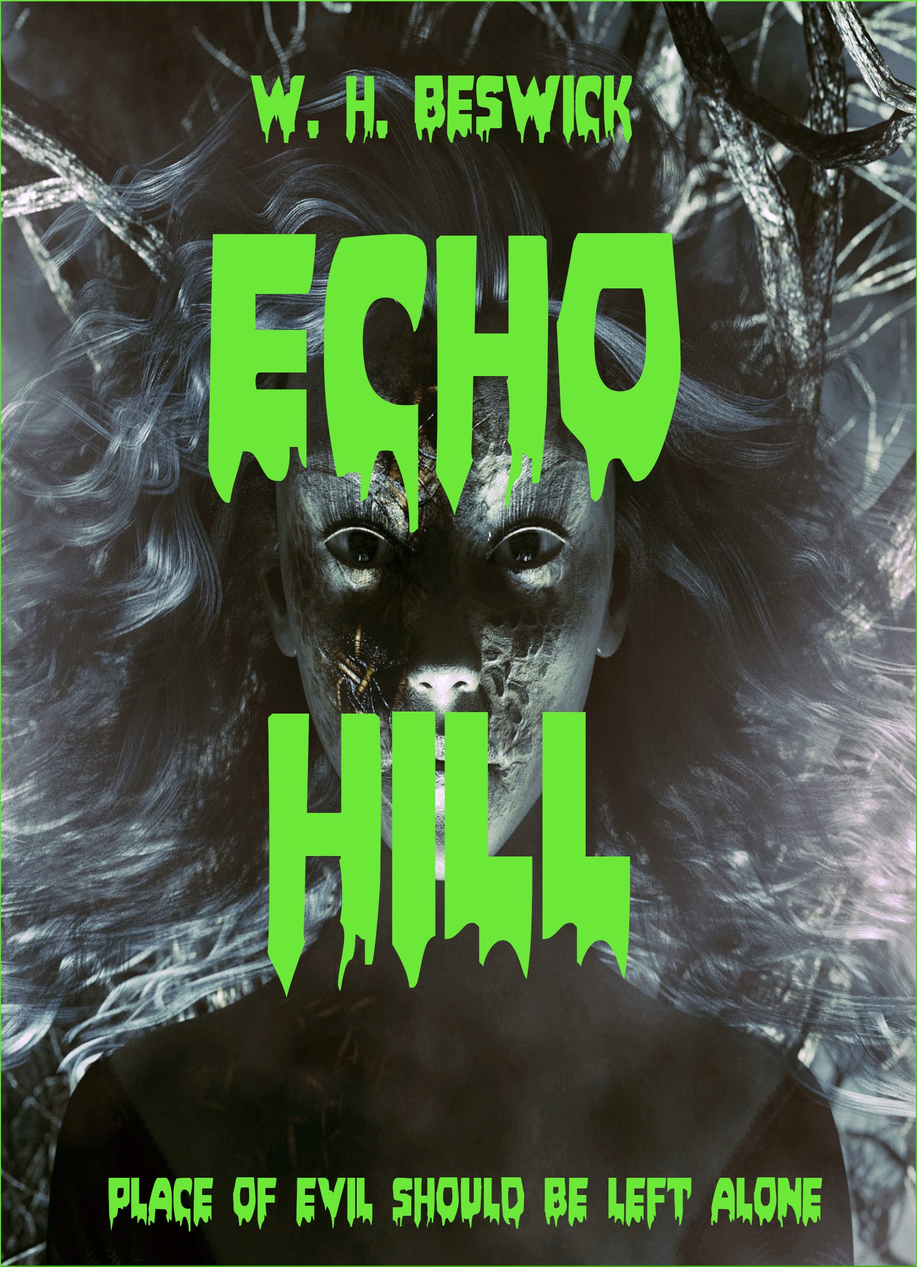 Echo Hill by W.H. Beswick | Goodreads