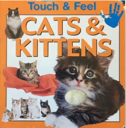 Cats & Kittens (Touch and Feel) by Hinkler Books | Goodreads
