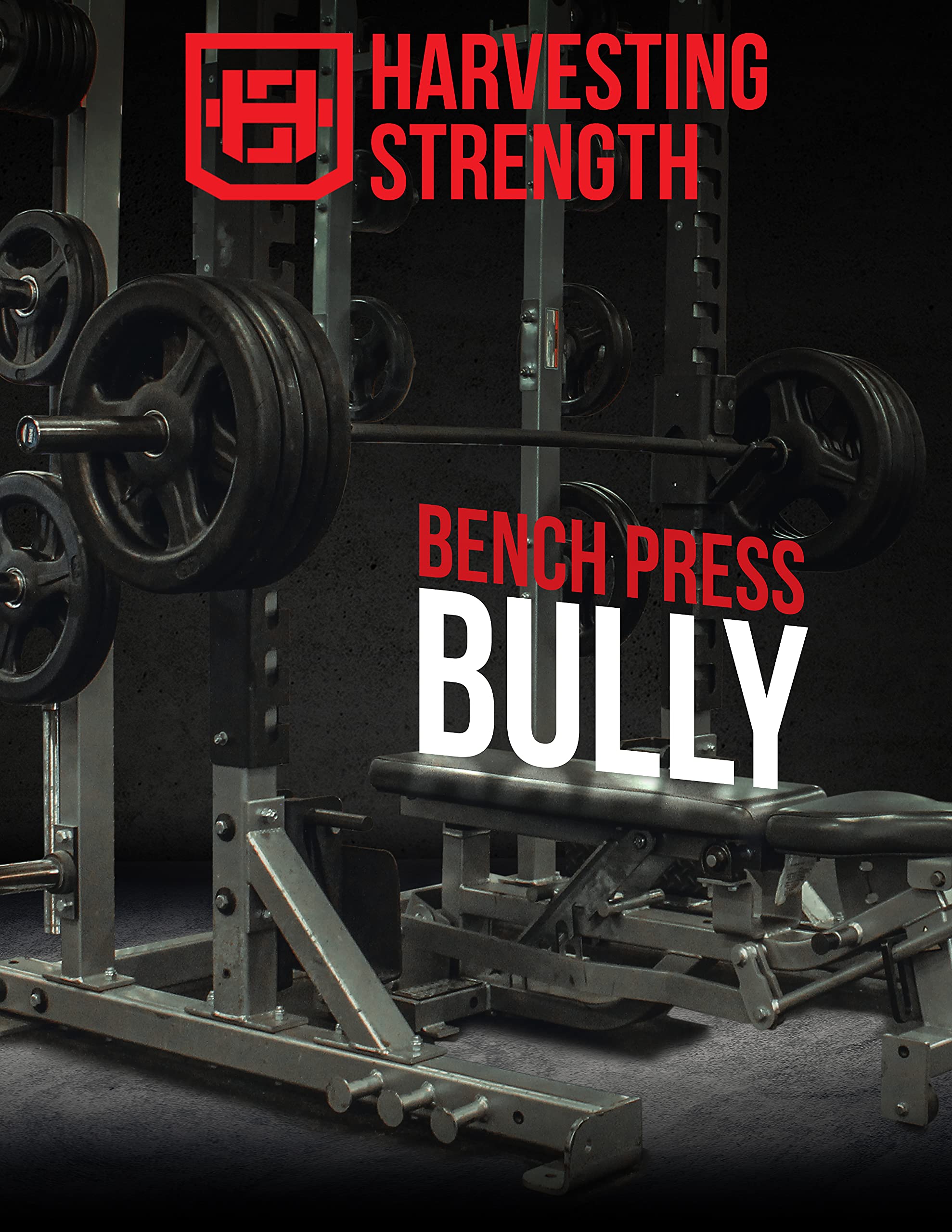 Bench Press Bully: A Guide to Bench Pressing Precision by Joseph Lucero ...