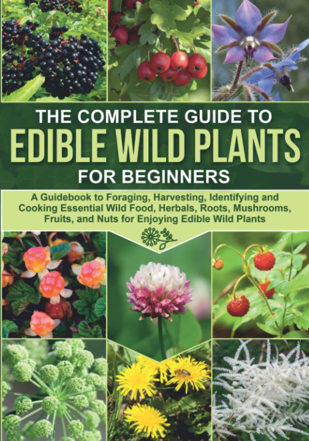 THE COMPLETE GUIDE TO EDIBLE WILD PLANTS FOR BEGINNERS: A Guidebook to ...