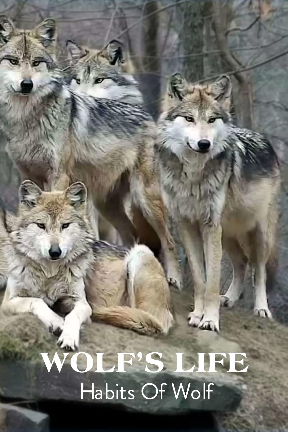 Wolf's Life: Habits Of Wolf by CARTER JACOB | Goodreads