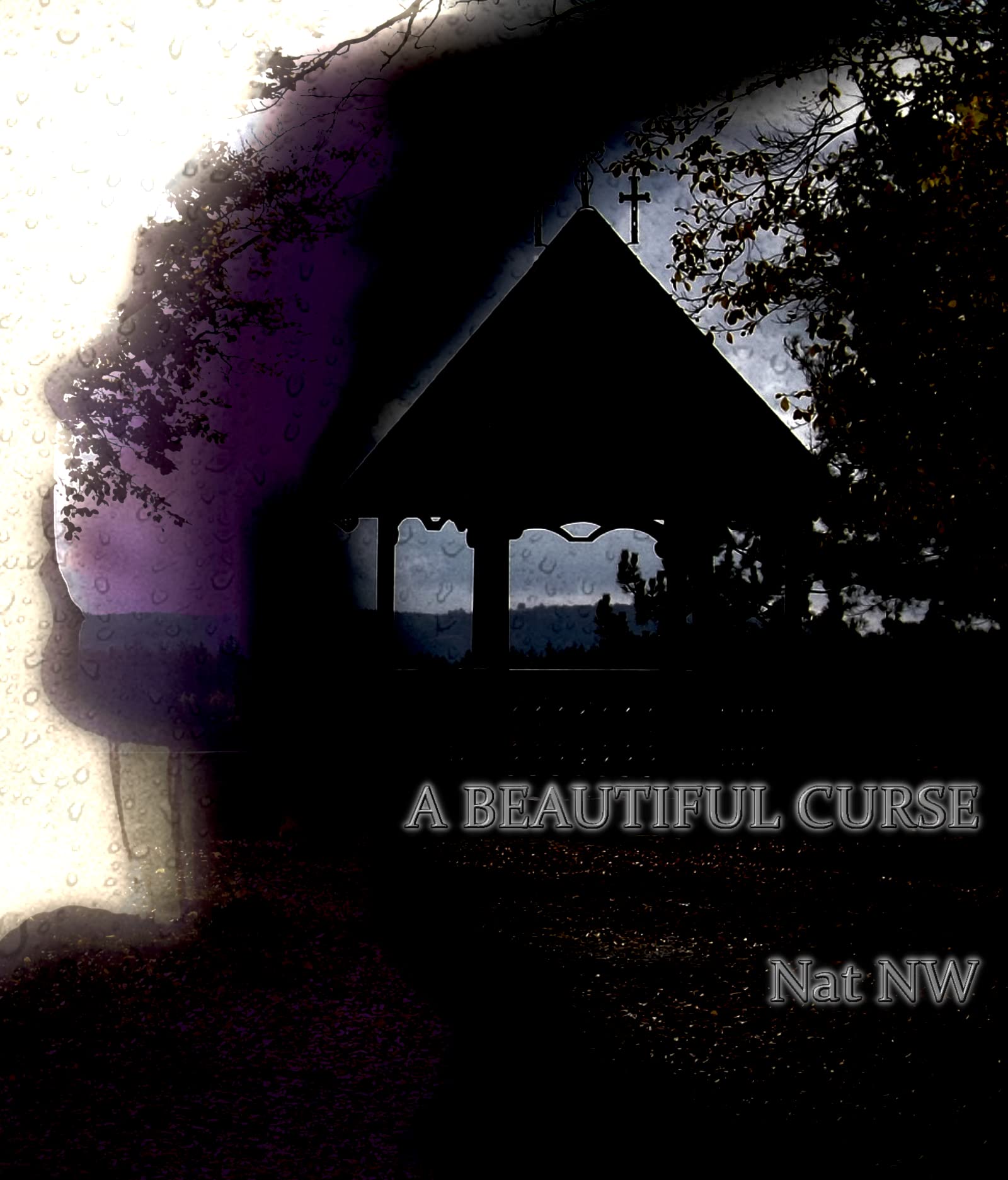 A Beautiful Curse by Nat NW | Goodreads
