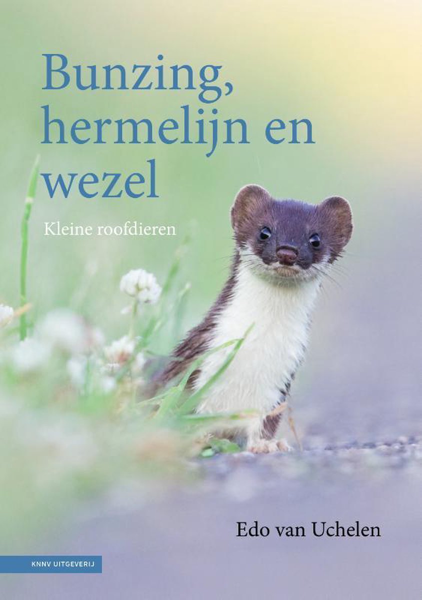 Bunzing, hermelijn en wezel by Edo van Uchelen | Goodreads