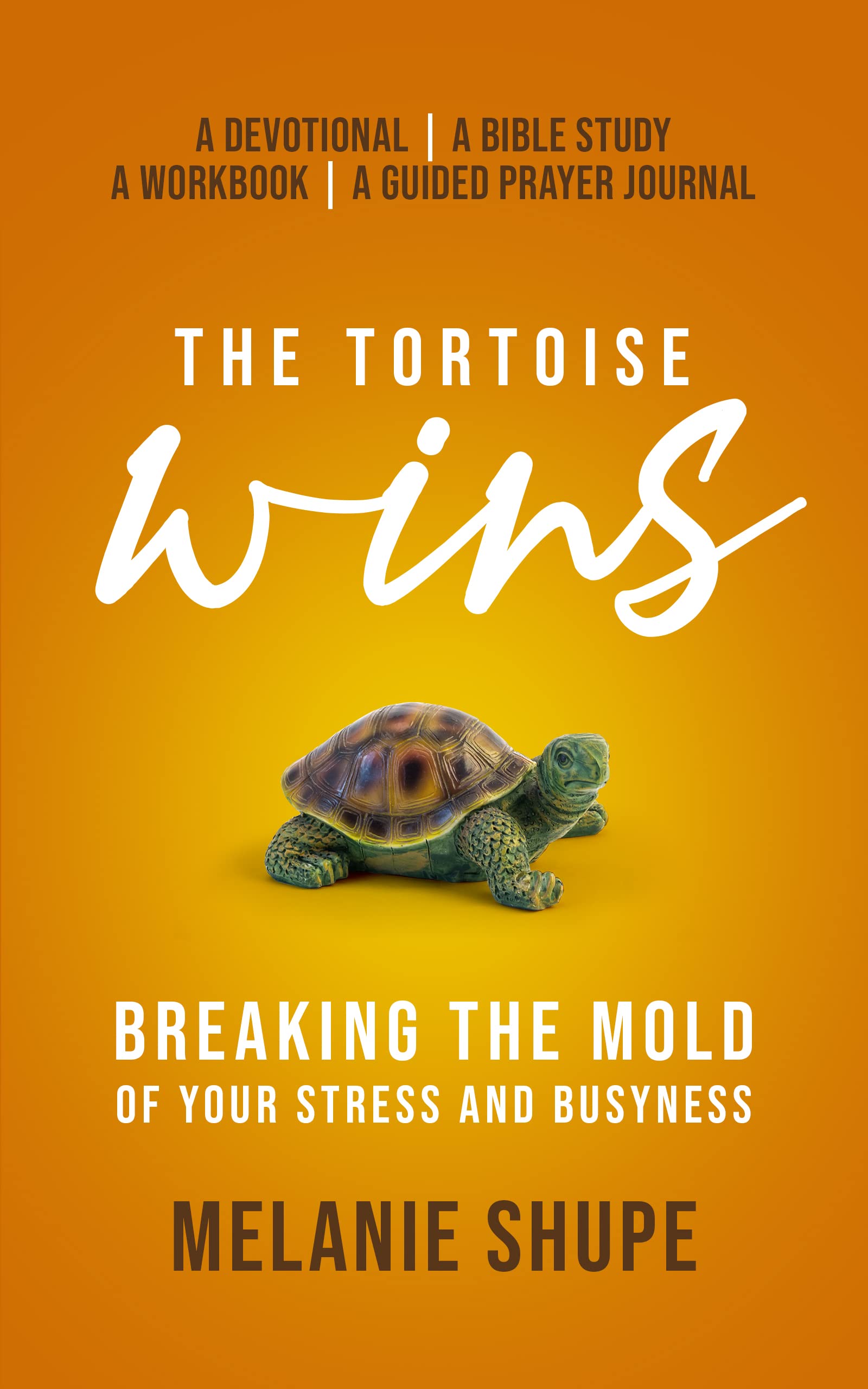 The Tortoise Wins: Breaking the Mold of Your Stress and Busyness: A ...