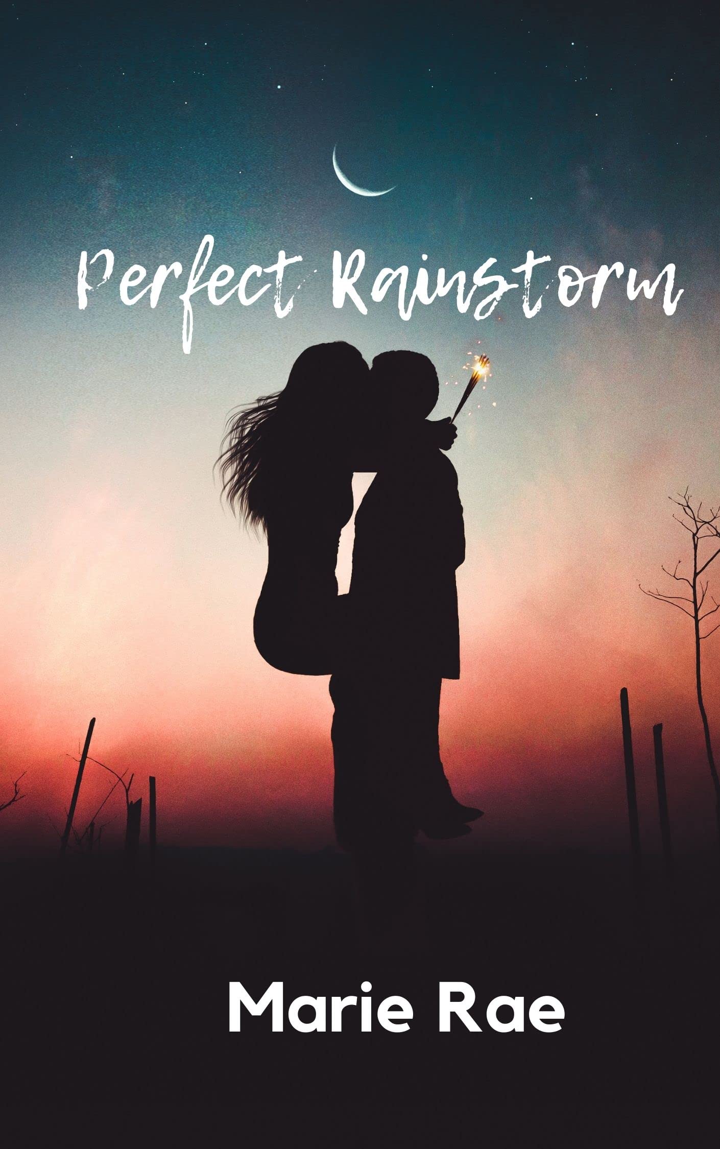 Perfect Rainstorm: An Enemies to Lovers Rock Star Romance by Marie Rae ...