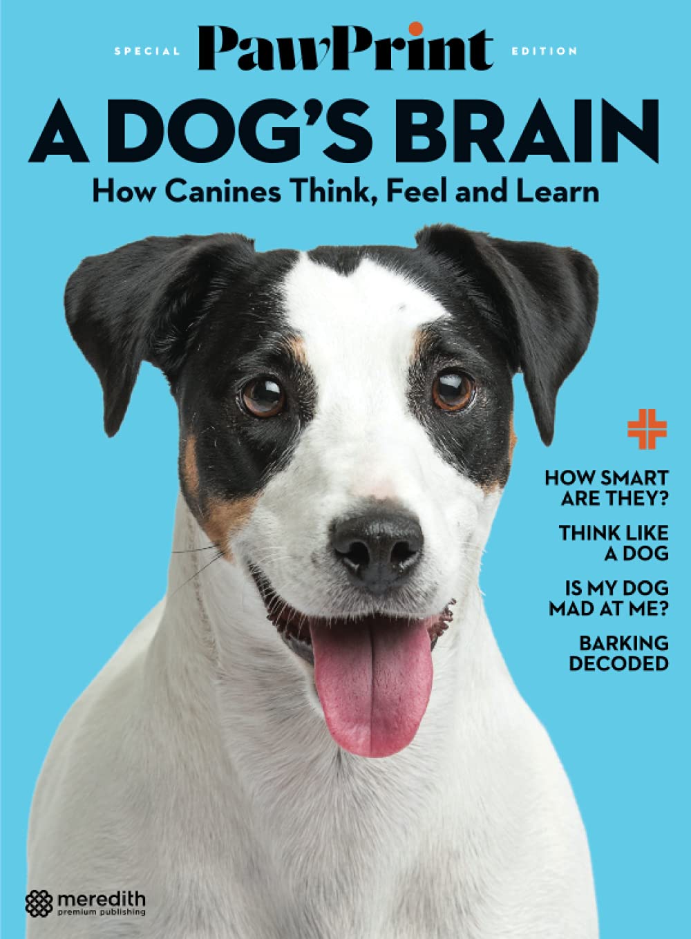 PawPrint A Dog's Brain: How Canines Think, Feel and Learn by The ...